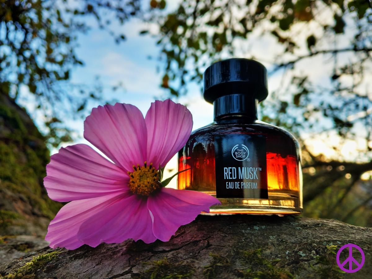 Red Musk The Body Shop perfume - a fragrance for women 2014