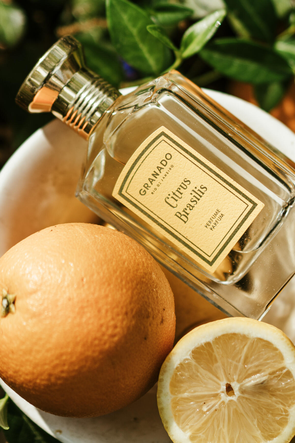 Citrus Brasilis Granado perfume - a new fragrance for women and men 2025
