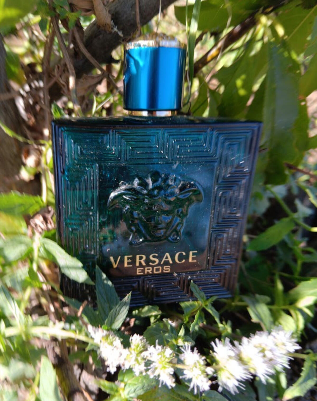 Eros Versace cologne - a fragrance for men 2012