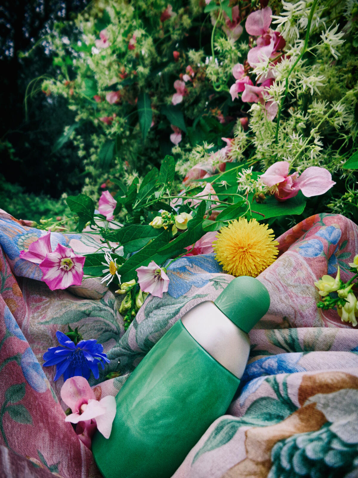 Eden Cacharel perfume - a fragrância Feminino 1994