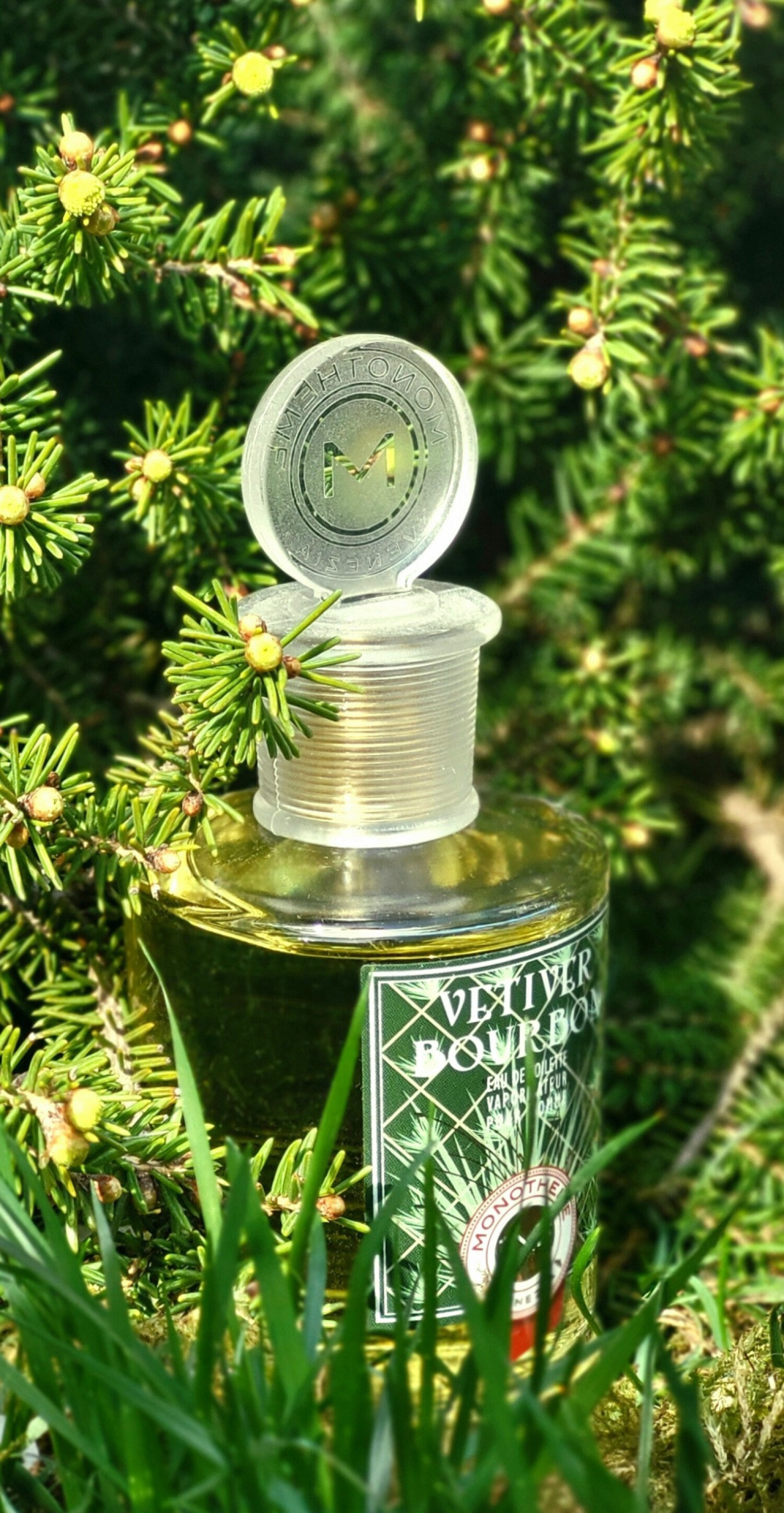 Vetiver Bourbon Monotheme Venezia cologne - a fragrance for men