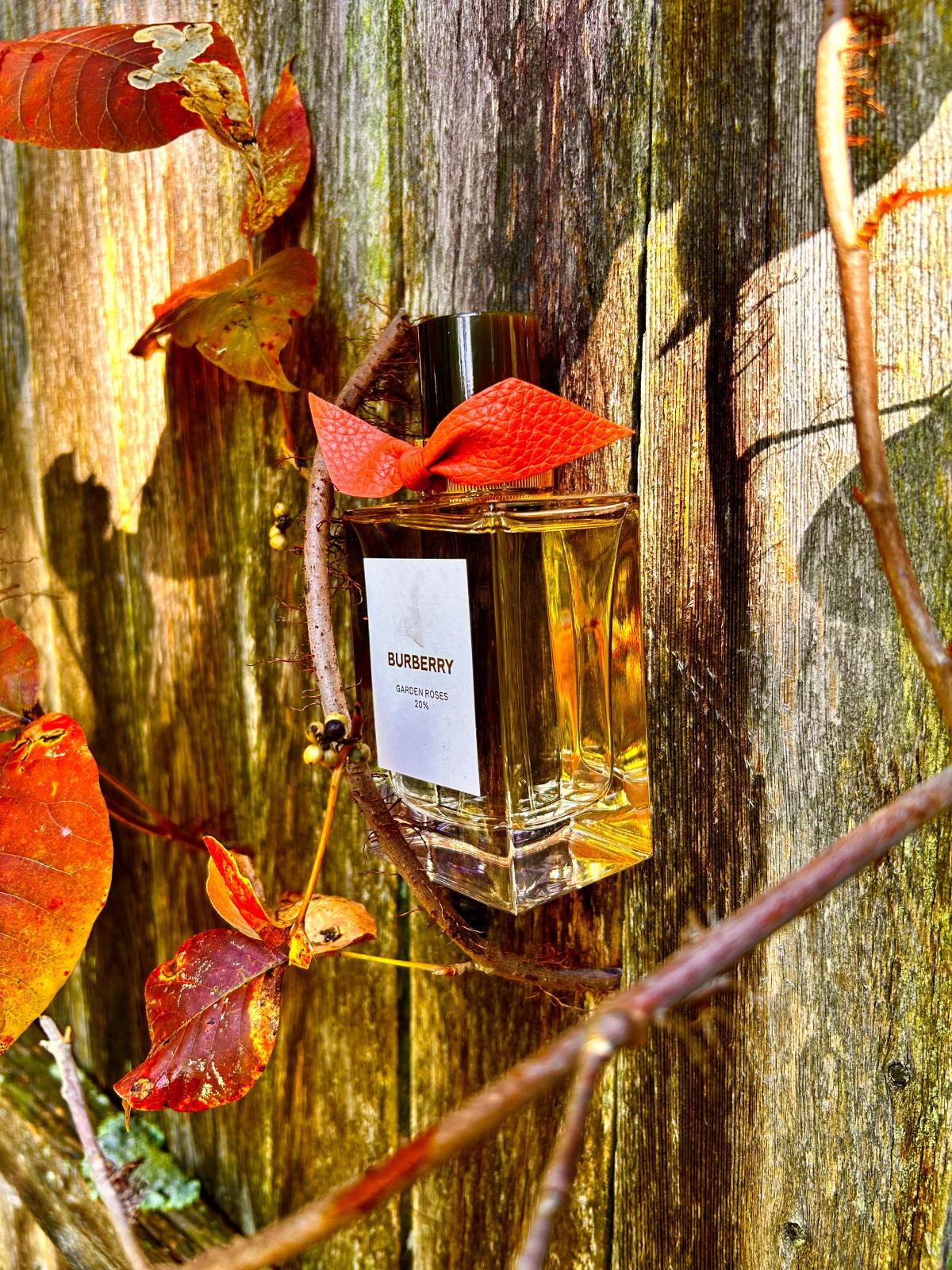 Garden Roses Burberry perfume - a fragrance for women and men 2017