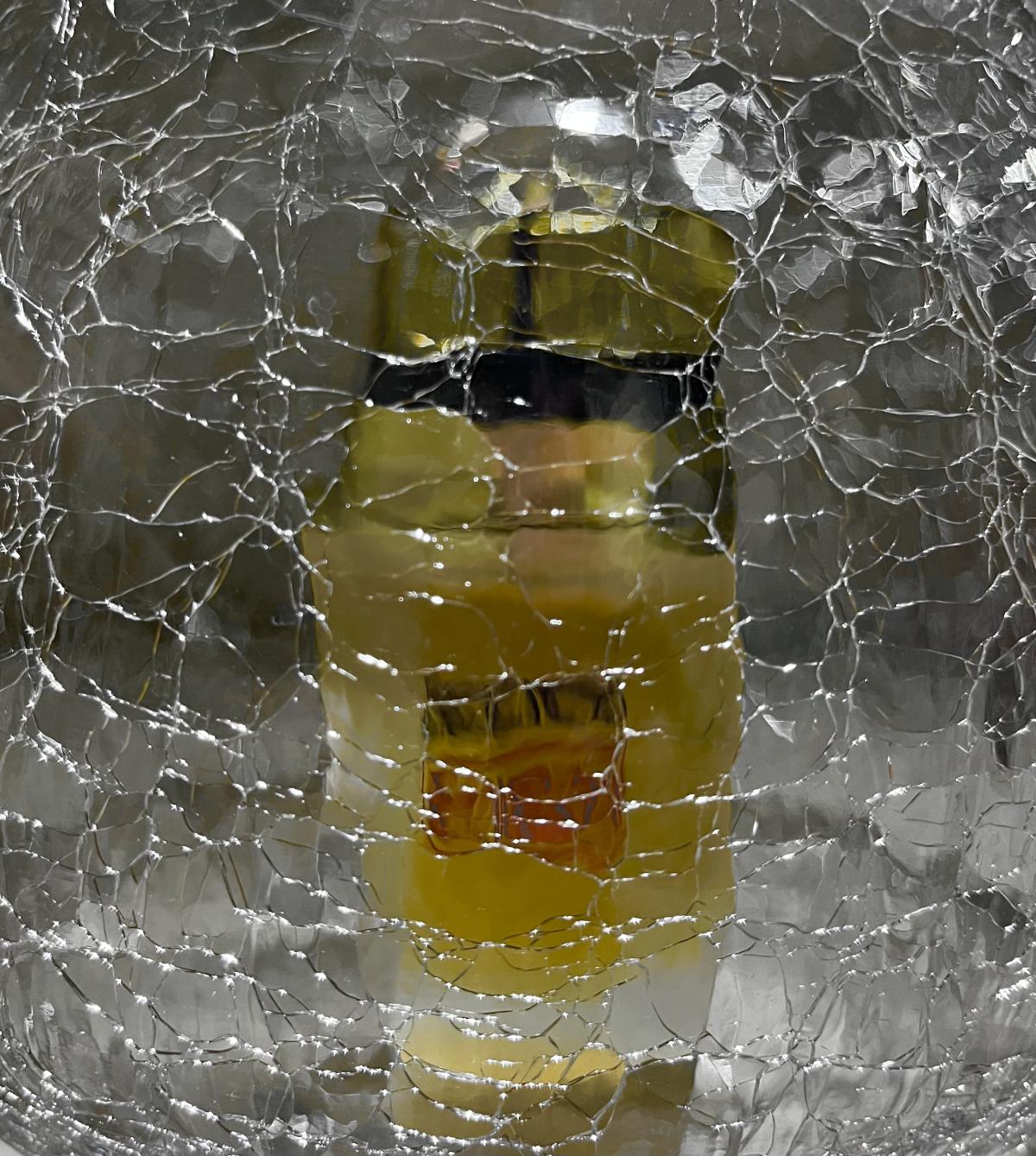 Fragile Eau de Toilette Jean Paul Gaultier perfume - a fragrance for ...