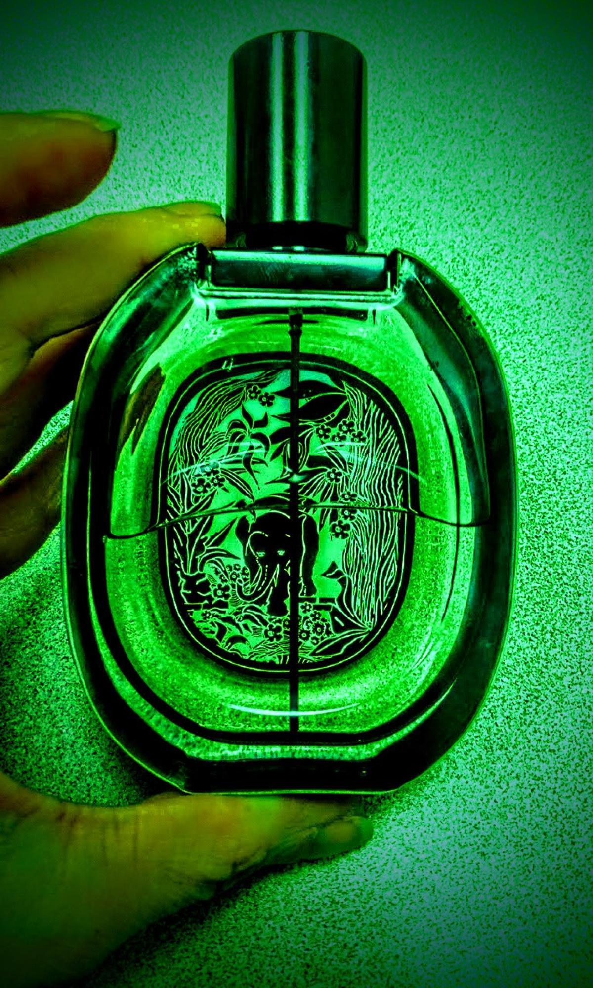 Tam Dao Eau de Toilette Diptyque perfume - a fragrance for women and ...