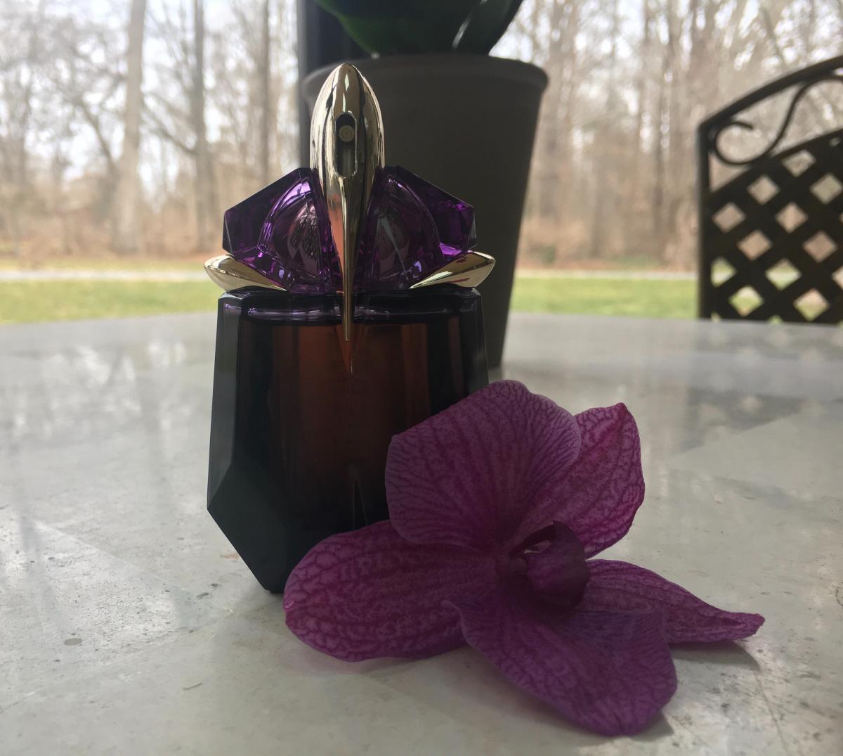 Alien Mugler perfume - a fragrância Feminino 2005