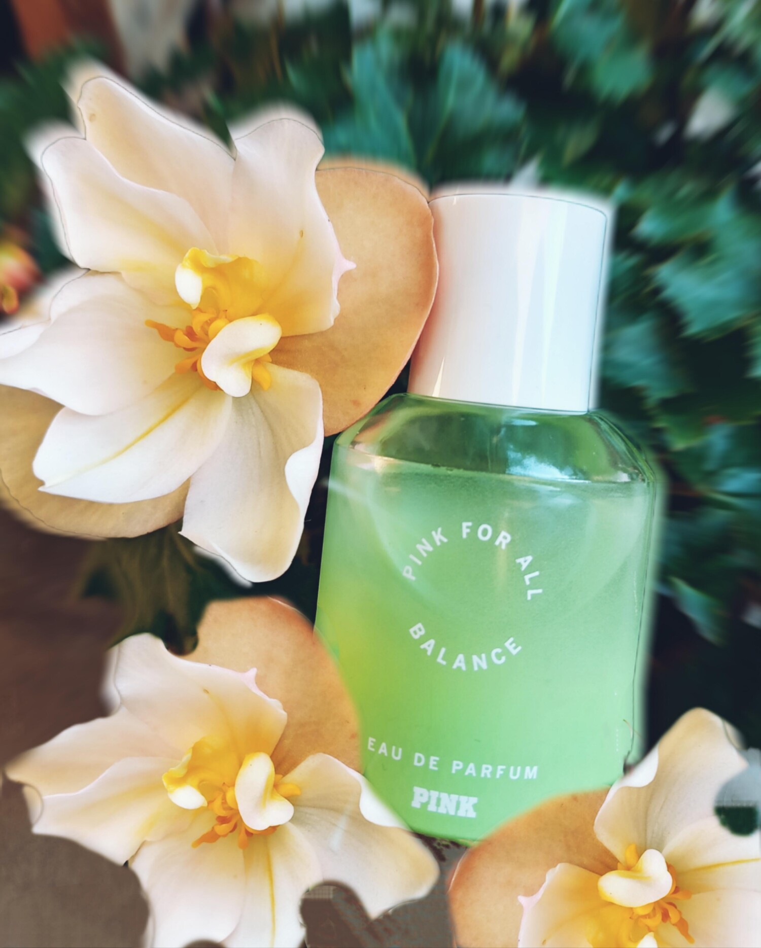 Balance Victoria's Secret perfume - a fragrance for women and men 2022