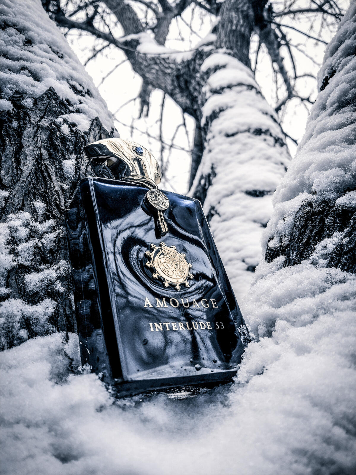 Interlude 53 Man Amouage cologne - a fragrance for men 2020