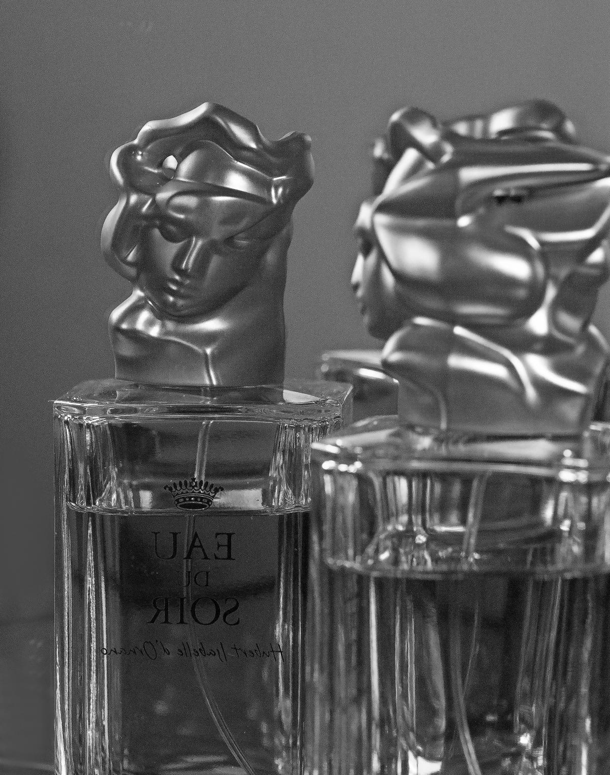 Eau du Soir Sisley perfume - a fragrance for women 1990