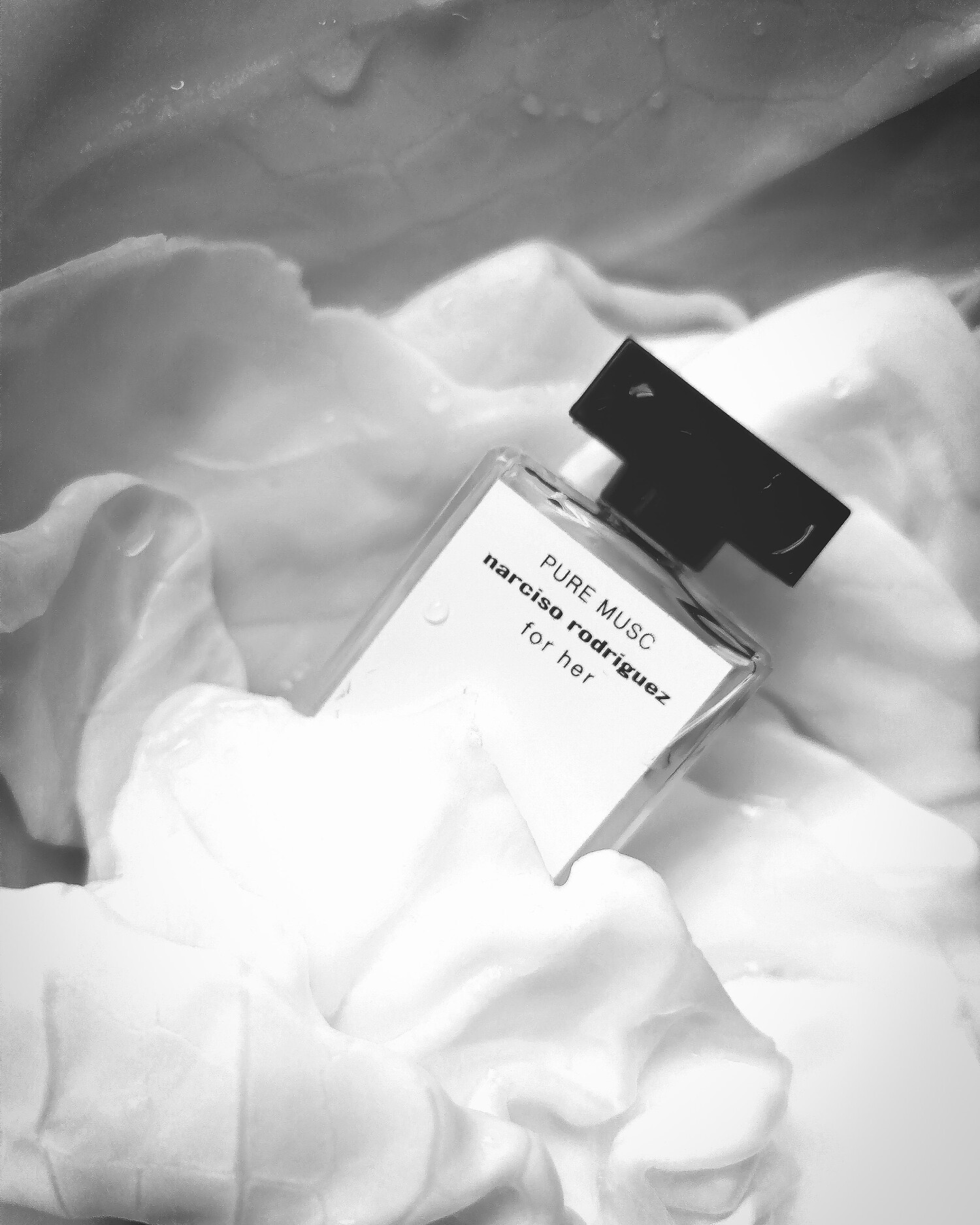 Pure Musc For Her Narciso Rodriguez fragancia - una nuevo fragancia ...