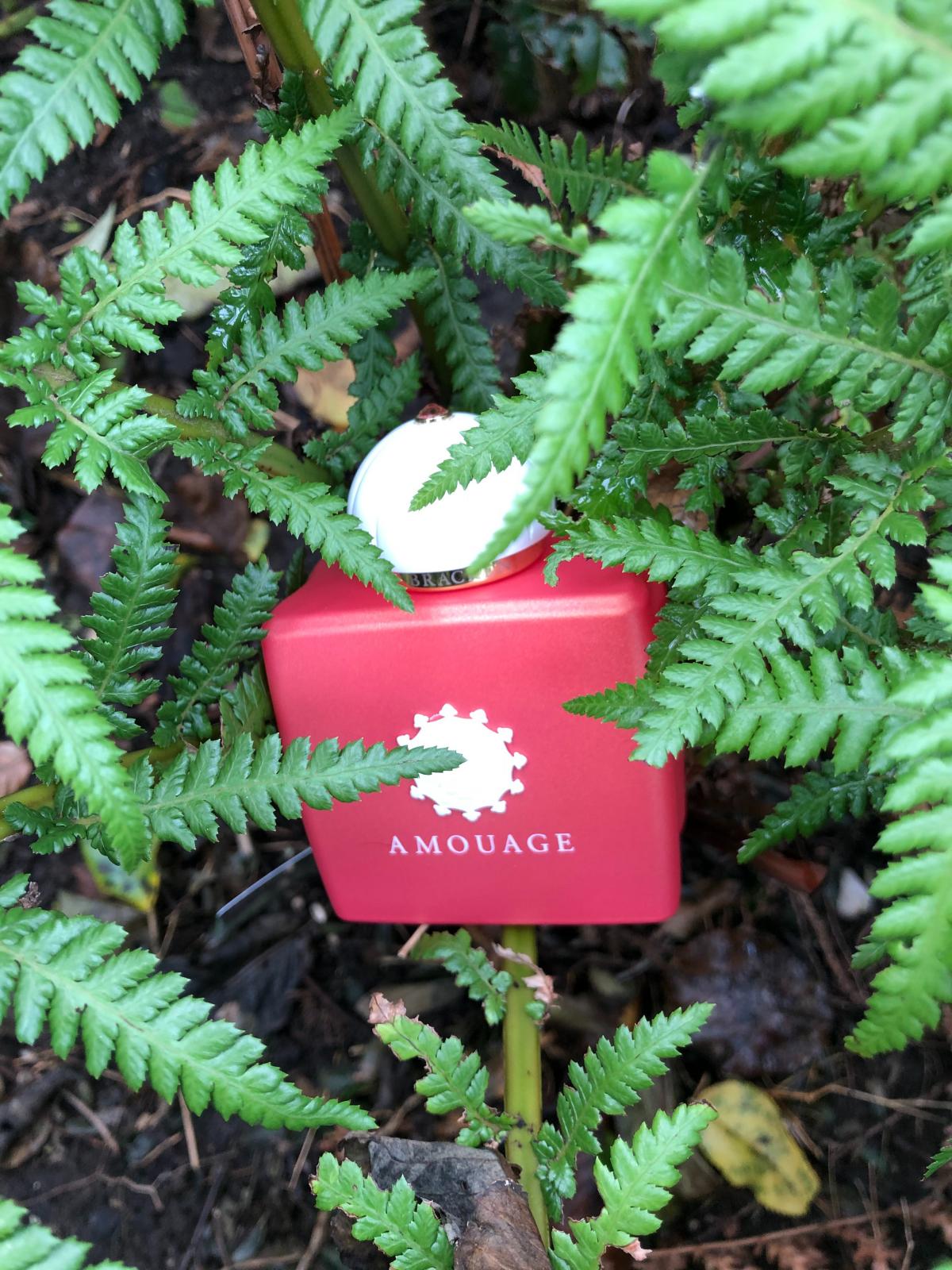 Bracken Woman Amouage perfume - a fragrance for women 2016