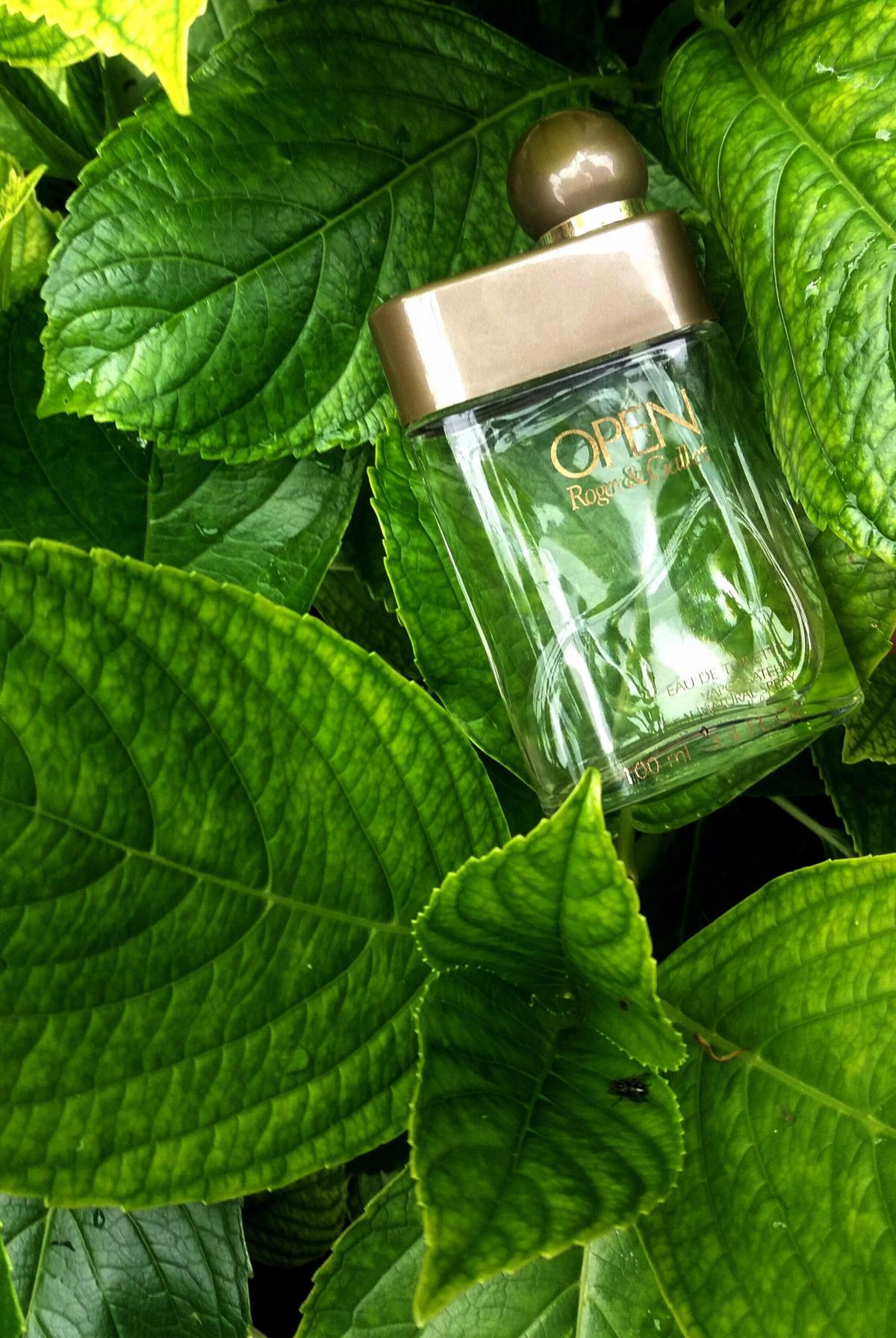 Open Roger & Gallet cologne - a fragrance for men 1985