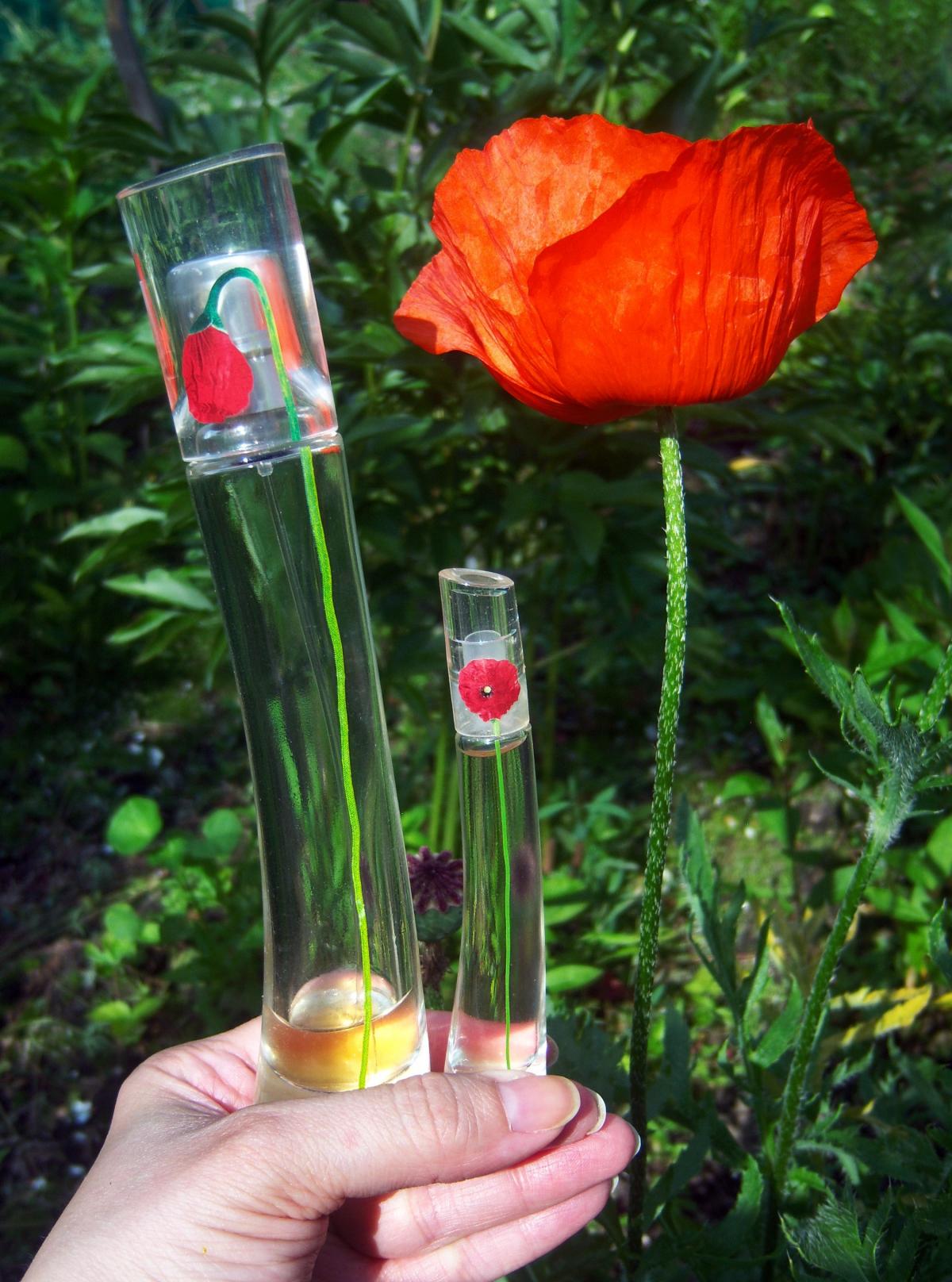 Flower by Kenzo Kenzo άρωμα - ένα άρωμα για γυναίκες 2000