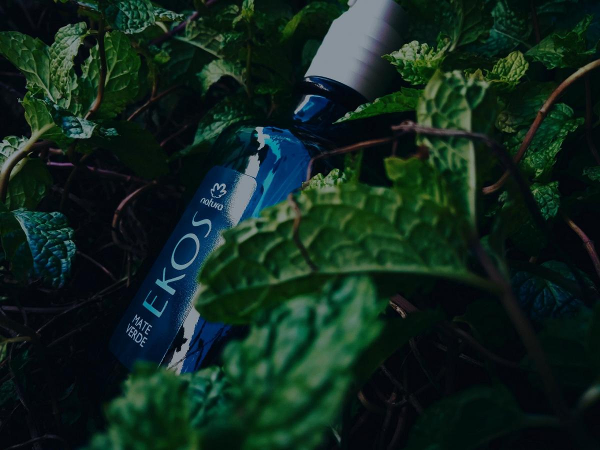 Mate Green (Mate Verde) Natura cologne - a fragrance for men 2012