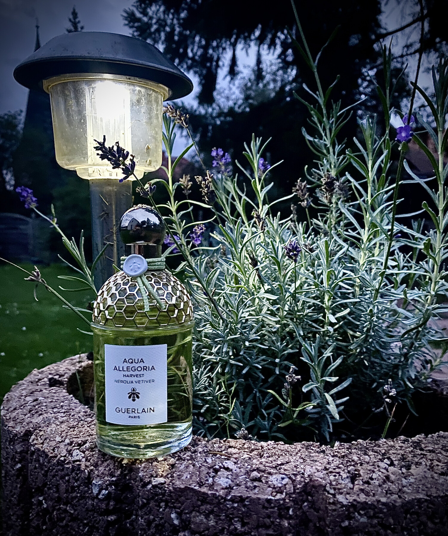 Nerolia Vetiver Harvest Guerlain perfume - a fragrance for women and ...