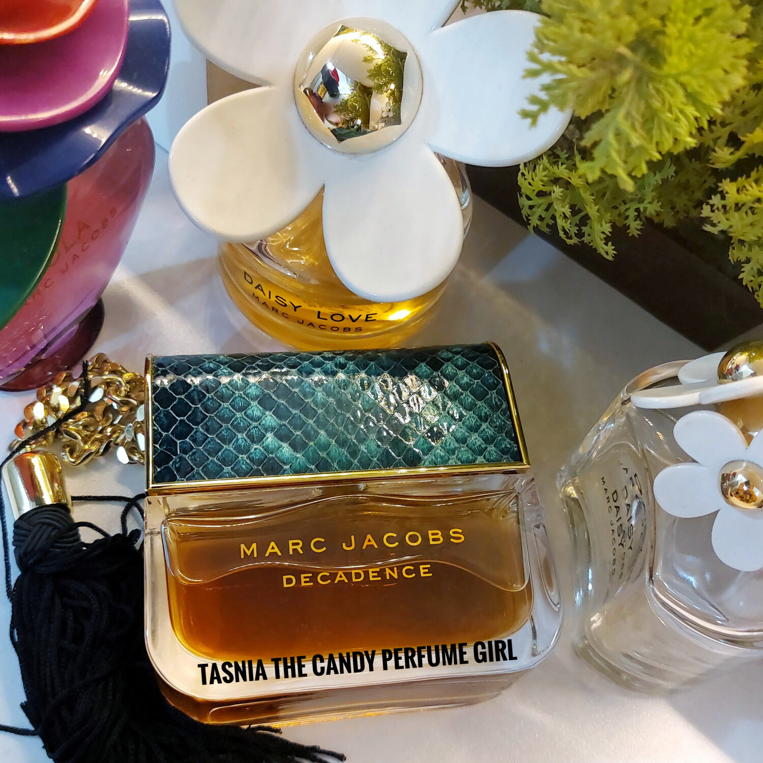 Divine Decadence Marc Jacobs perfume - a fragrance for women 2016