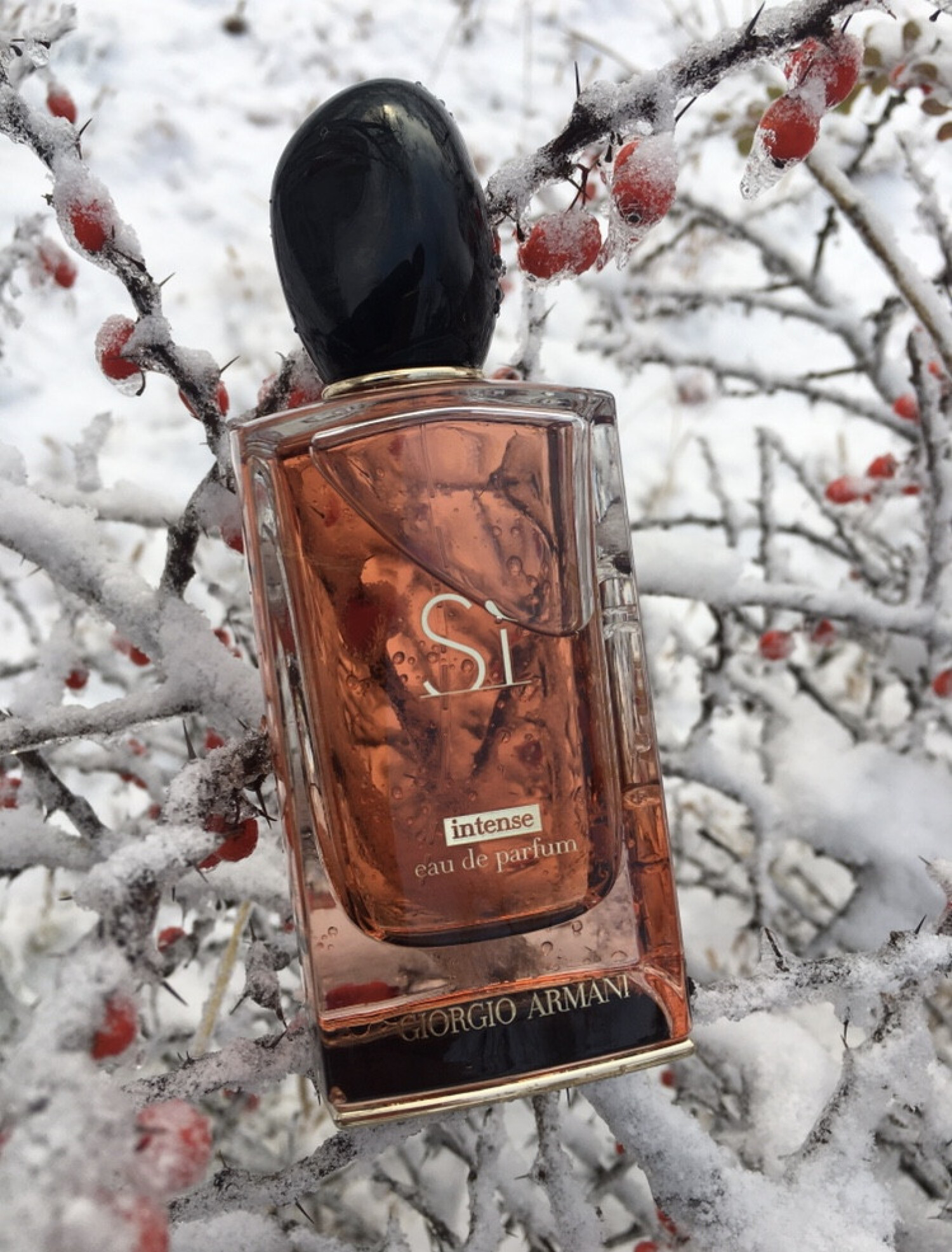 Sì Intense 2021 Giorgio Armani perfume - a fragrance for women 2021