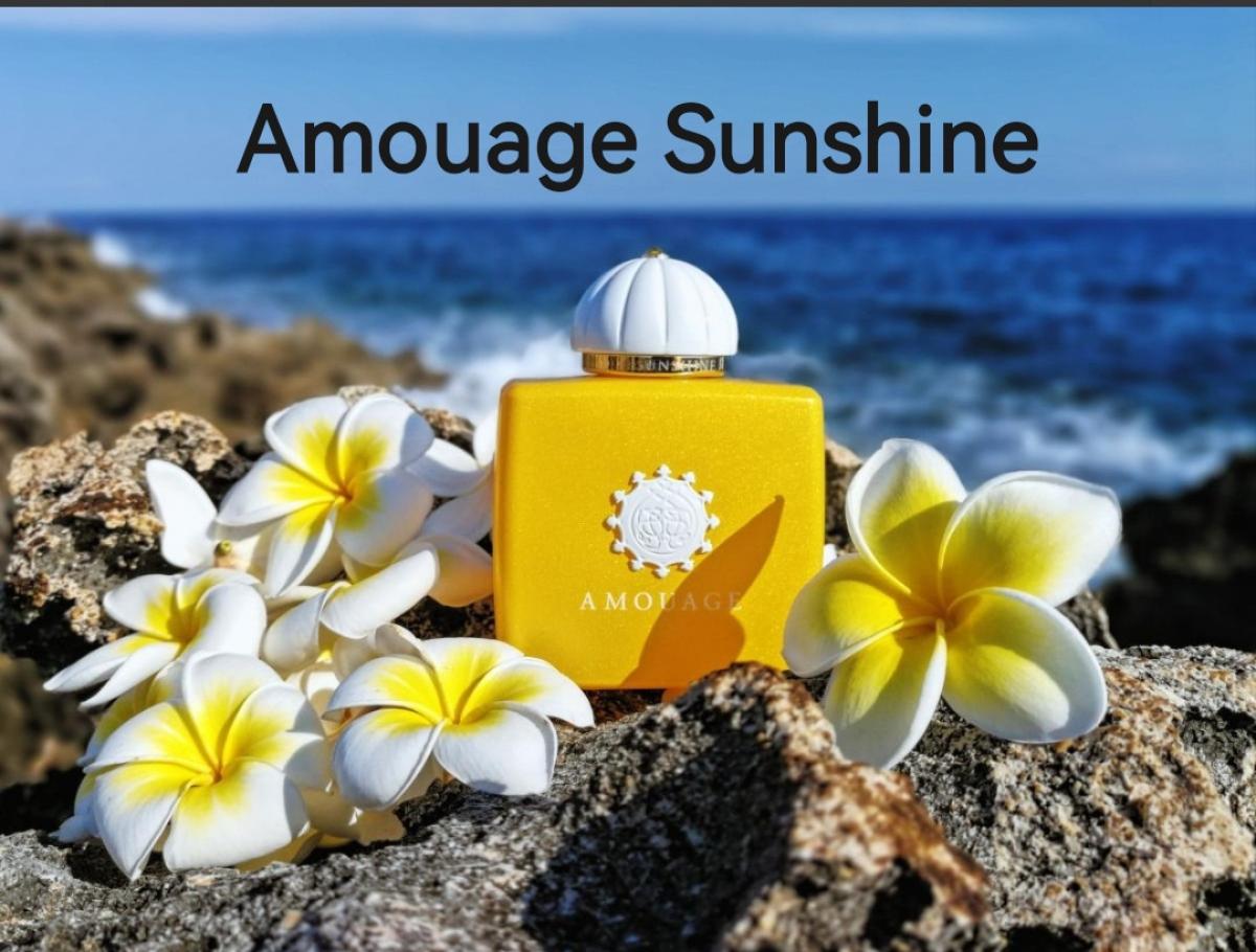 Sunshine Woman Amouage perfume - a fragrance for women 2014