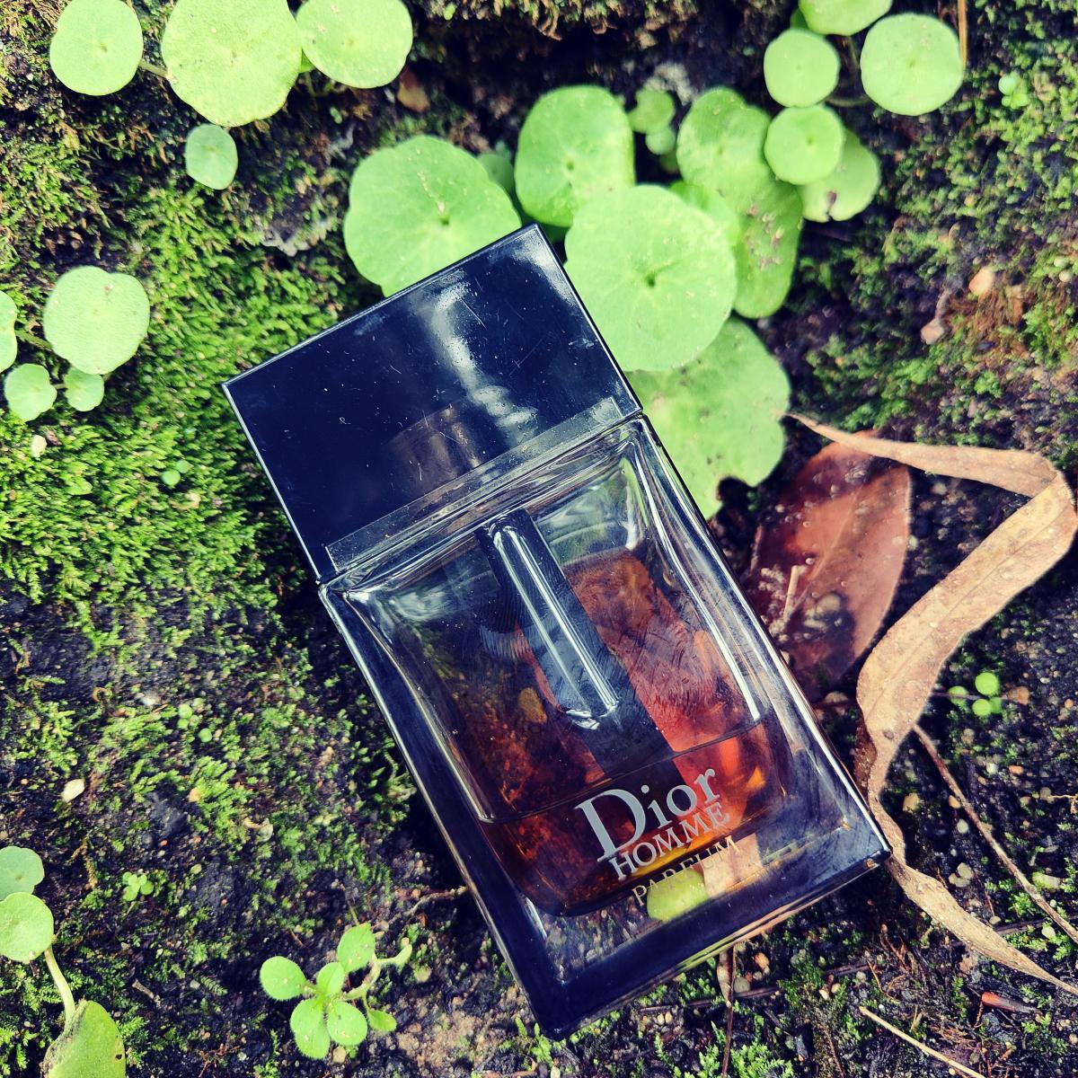 Dior Homme Parfum Dior cologne - a fragrance for men 2014