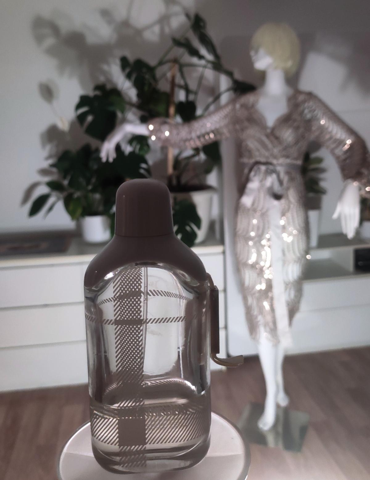 The Beat EDT Burberry perfume - a fragrance for women 2009