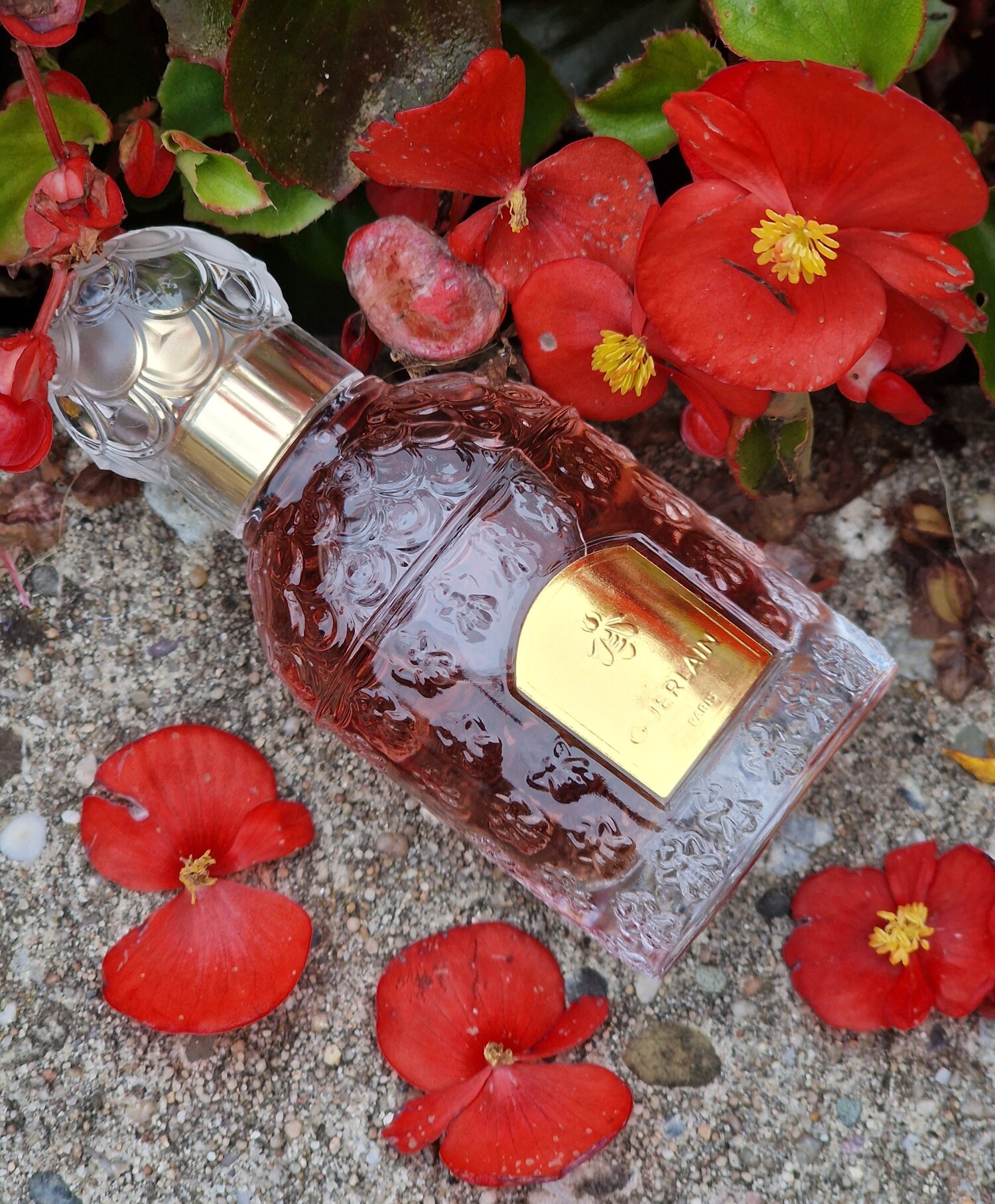 Mon Guerlain Extrait Guerlain perfume - a fragrance for women 2019