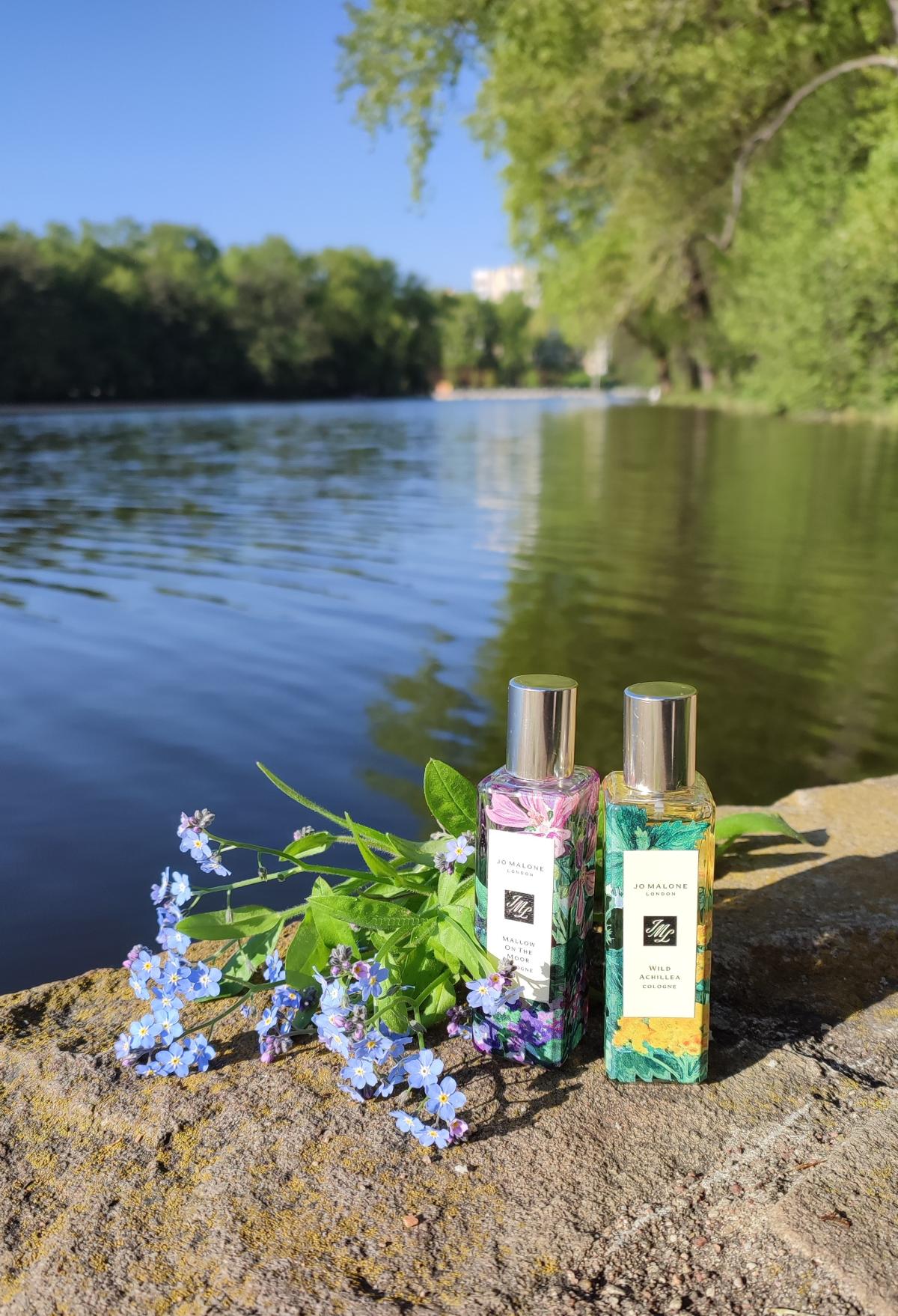 Mallow on the Moor Jo Malone London perfume - a fragrance for women and ...