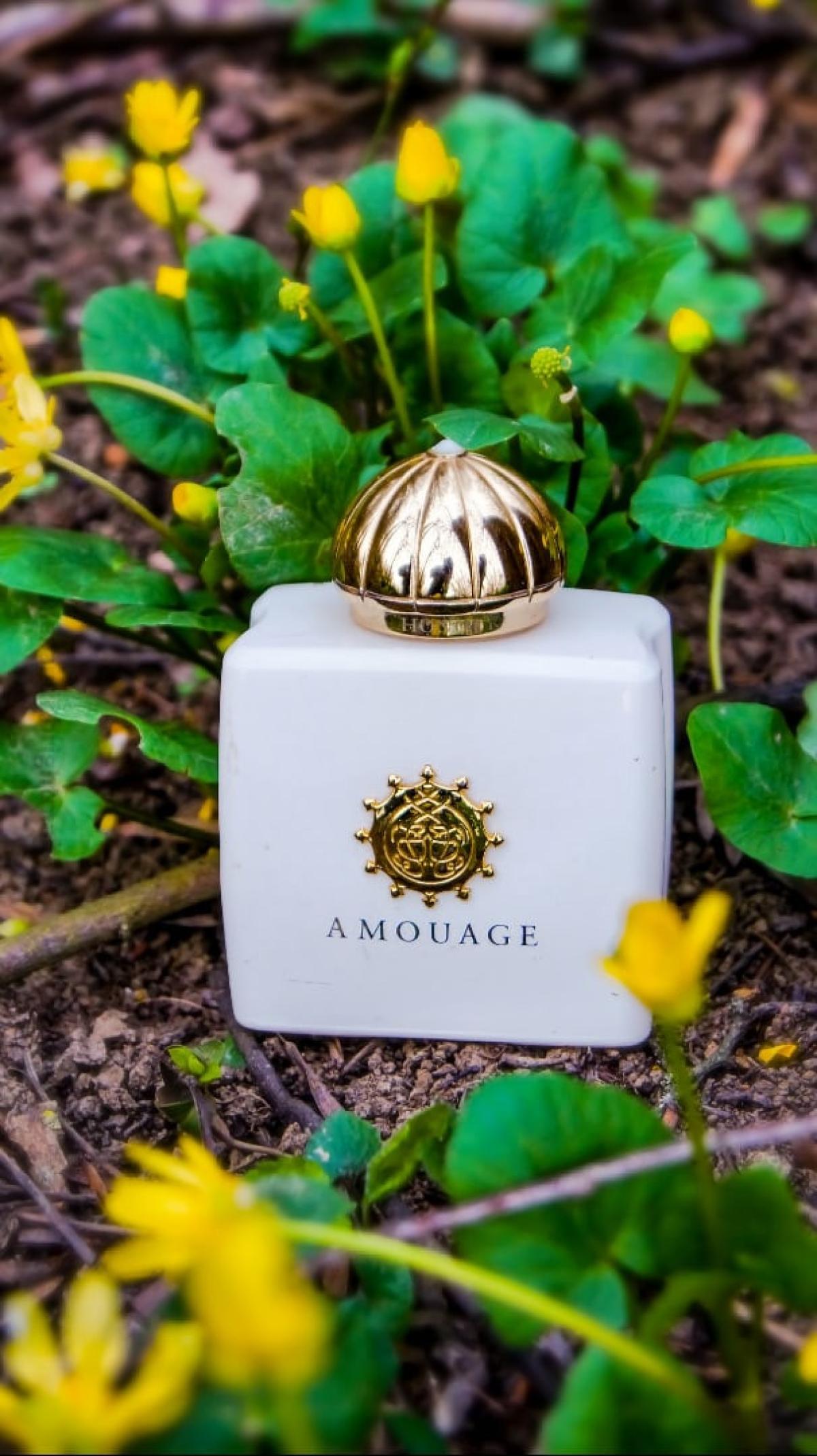 Honour Woman Amouage perfume - a fragrance for women 2011