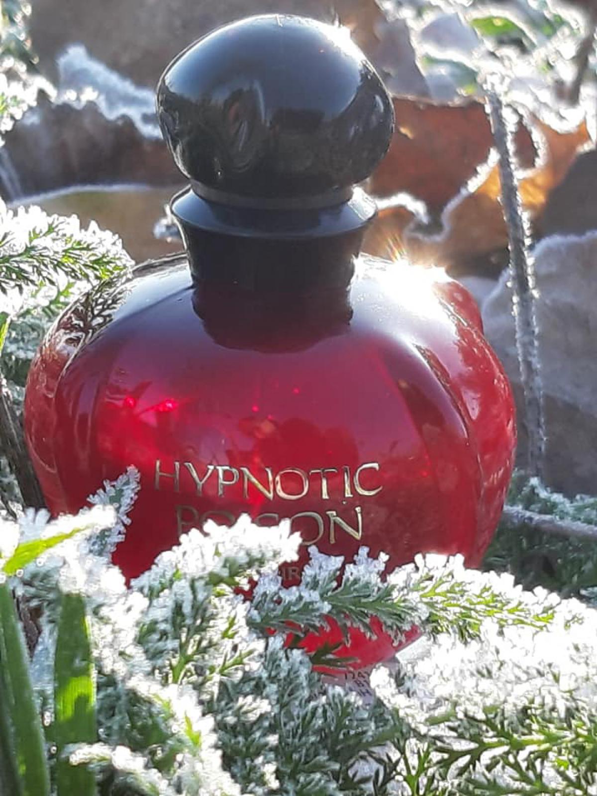Hypnotic Poison Elixir Dior аромат — аромат для женщин 2008