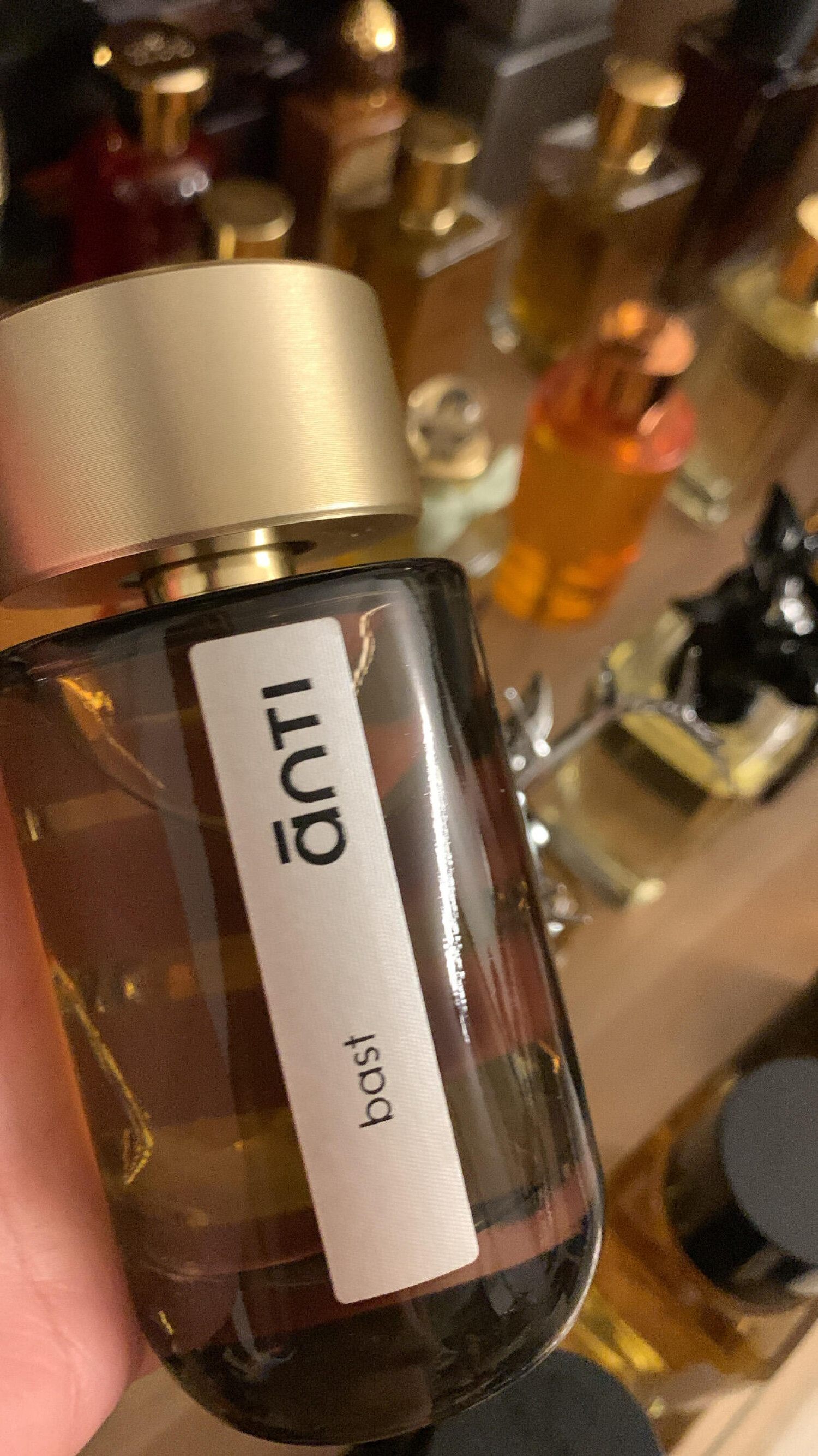 Bast Anti perfume - a new fragrance for women and men 2025