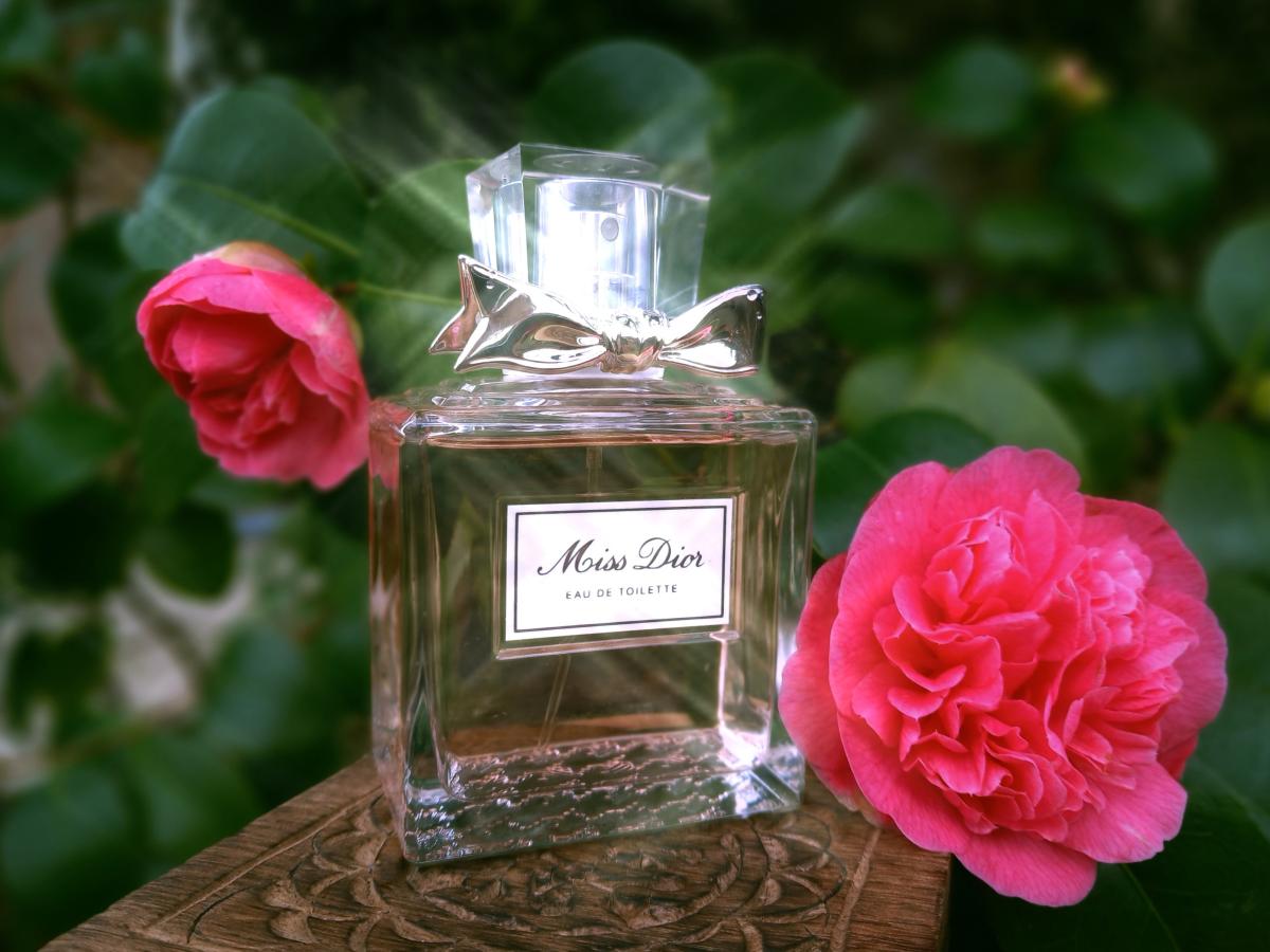 Miss Dior Eau de Toilette 2019 Dior perfume - a fragrance for women 2019