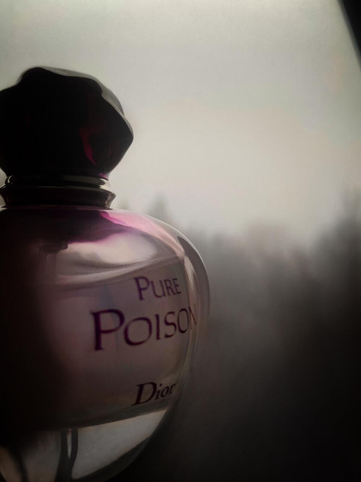 Pure Poison Dior perfume - a fragrance for women 2004