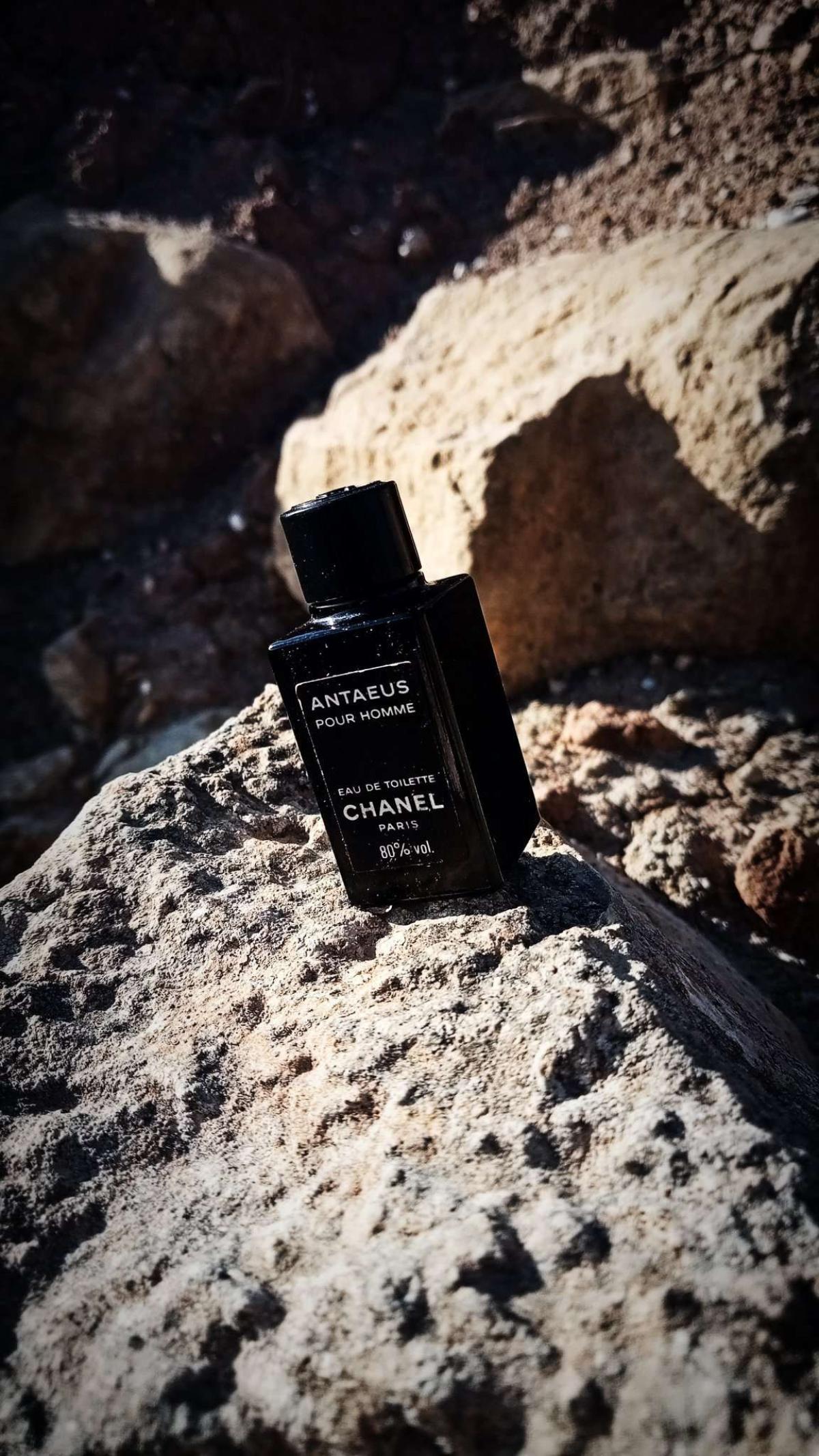 Antaeus Chanel cologne - a fragrance for men 1981