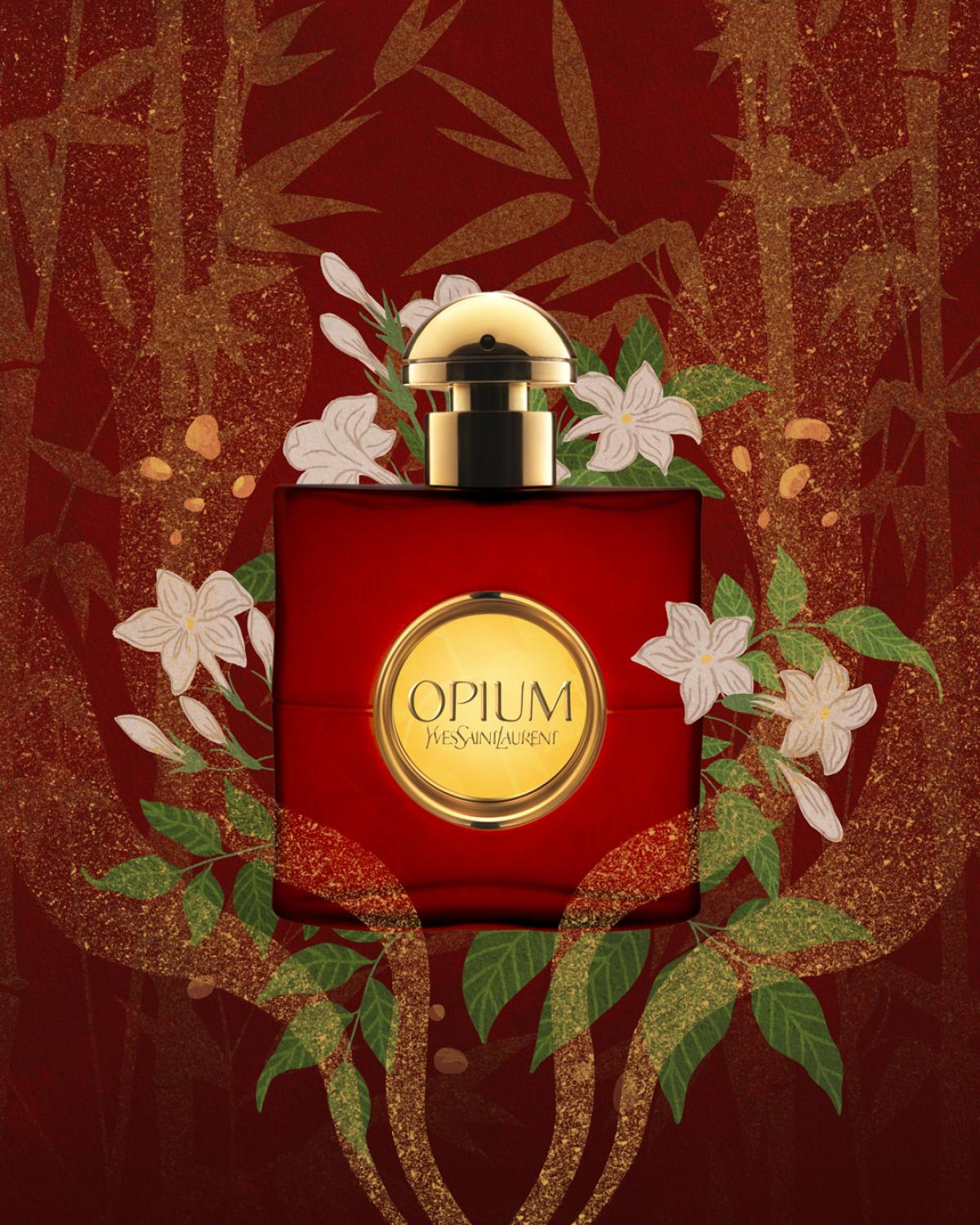 Opium Eau de Parfum 2009 Yves Saint Laurent perfume - a fragrance for ...