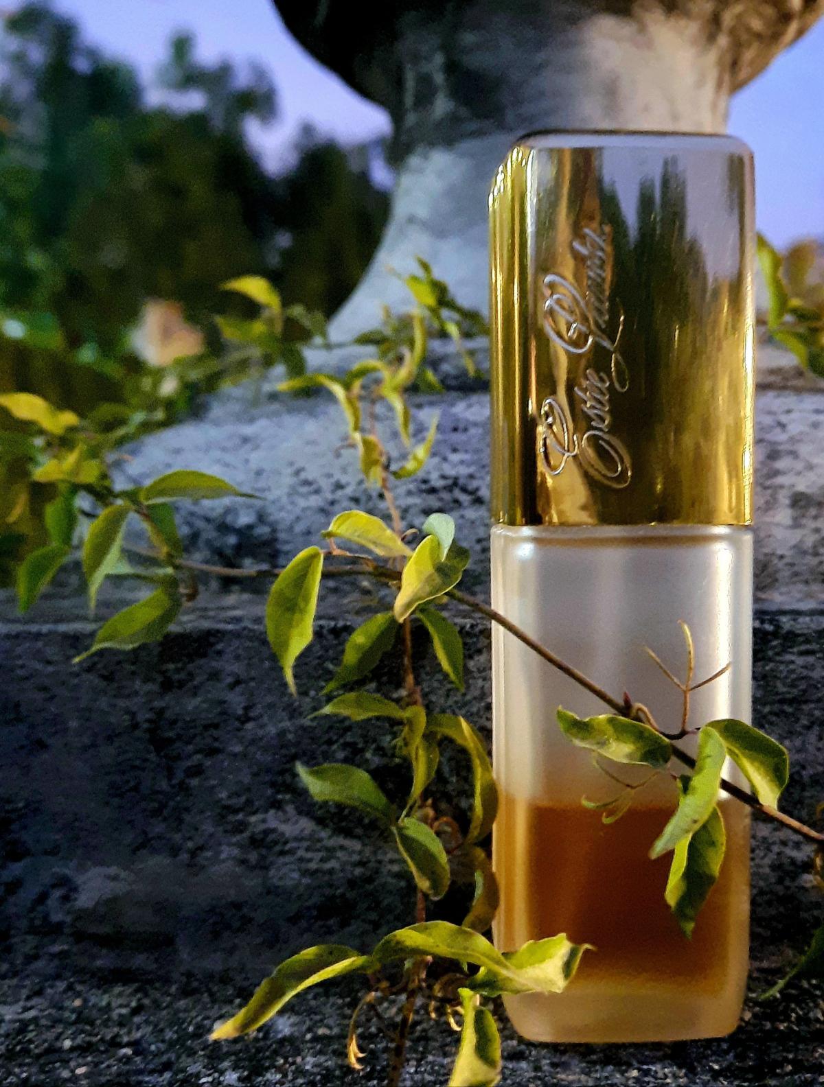 Private Collection Estée Lauder perfume - a fragrância Feminino 1973