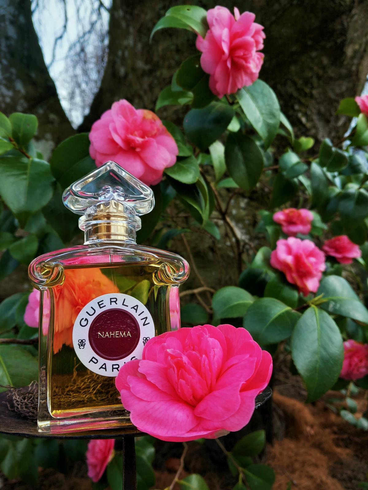 Nahema Eau de Parfum Guerlain perfume - a fragrance for women 2021