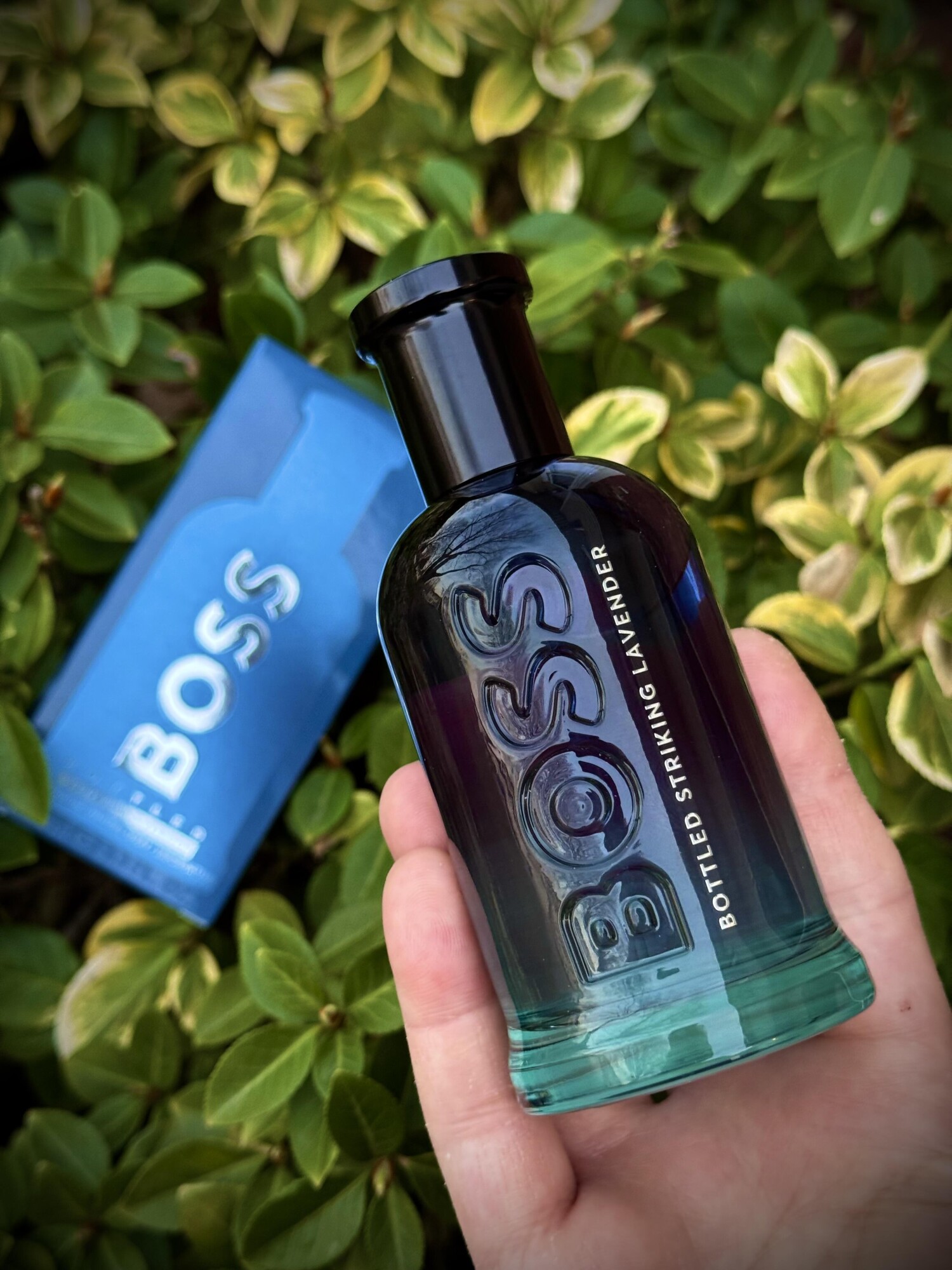 Boss Bottled Striking Lavender Hugo Boss cologne - a new fragrance for ...