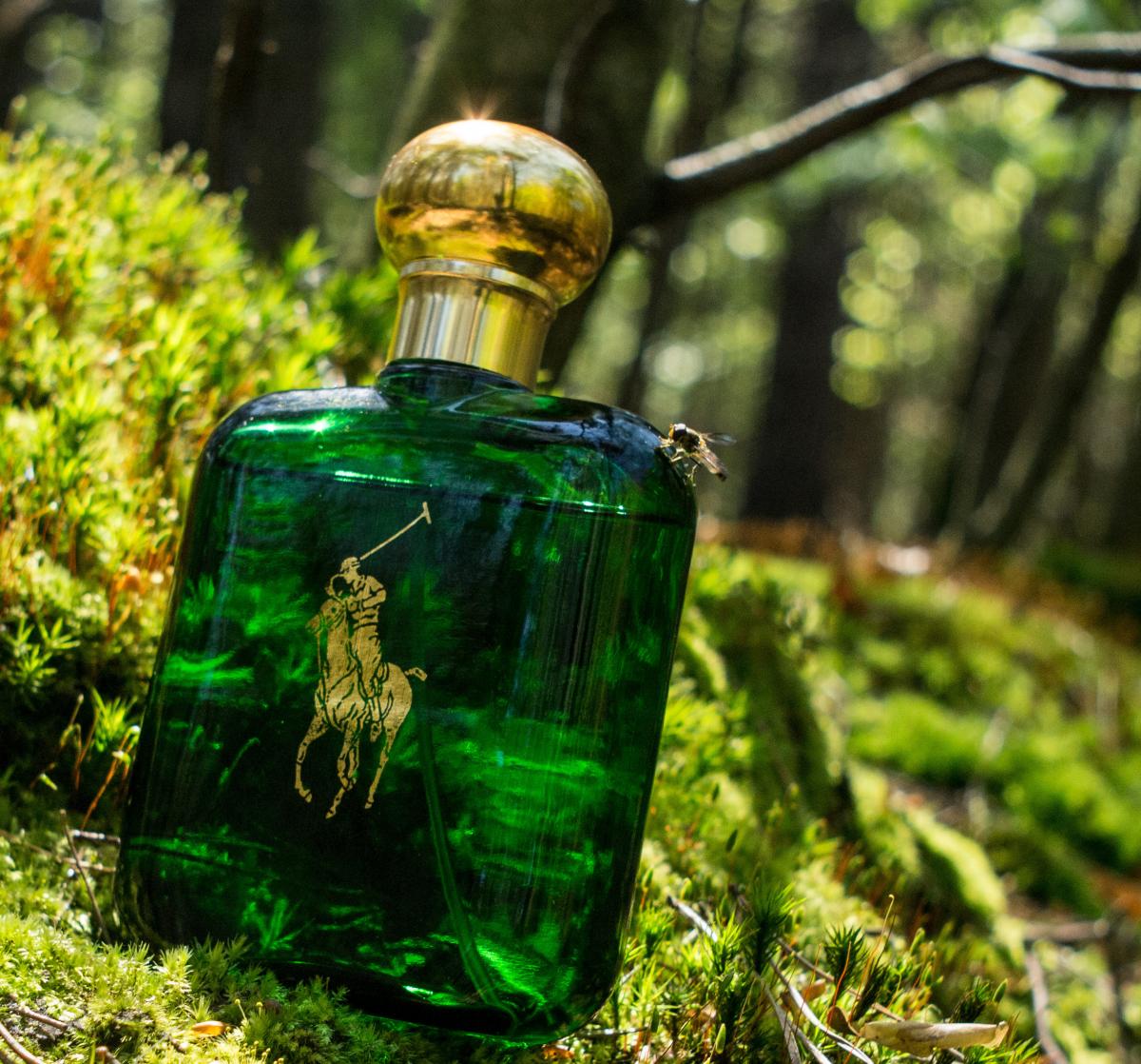 Polo Ralph Lauren cologne - a fragrance for men 1978