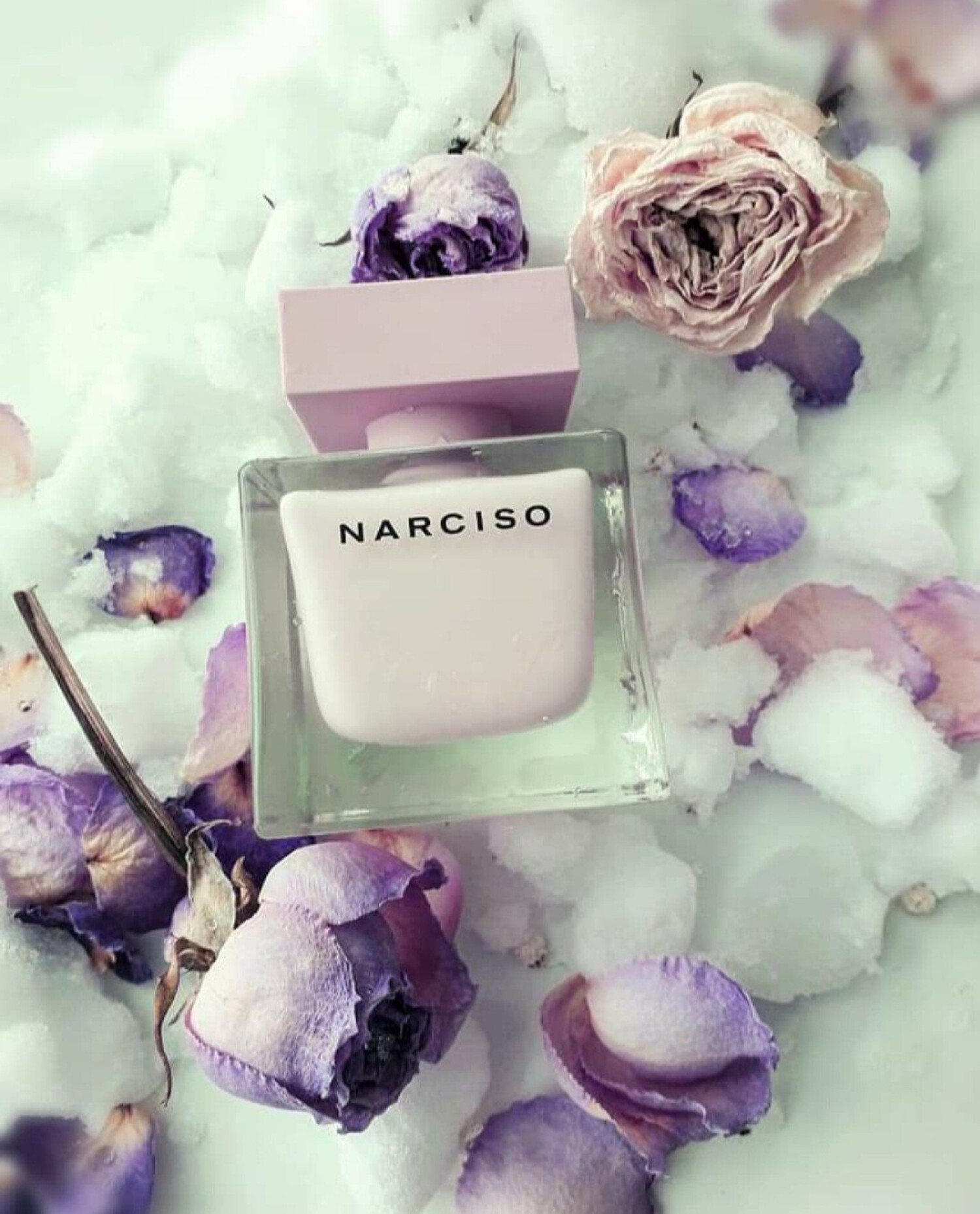 Narciso Poudree Narciso Rodriguez parfum - un parfum pour femme 2016