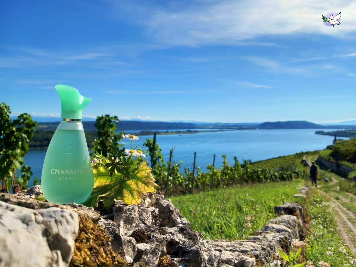 Chanson d'Eau Coty perfume - a fragrance for women 1995