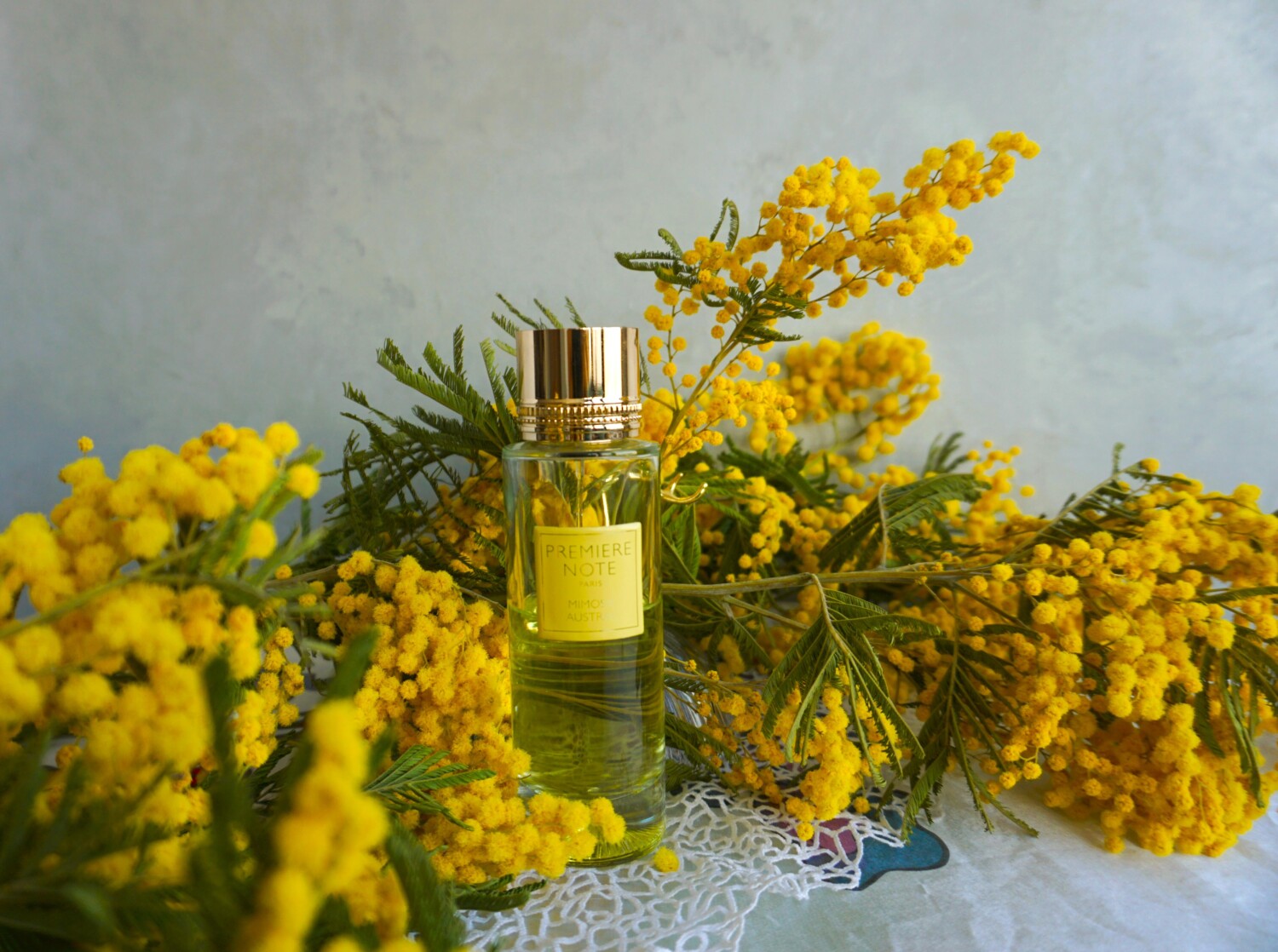 Mimosa Austral Première Note perfume - a fragrance for women 2019