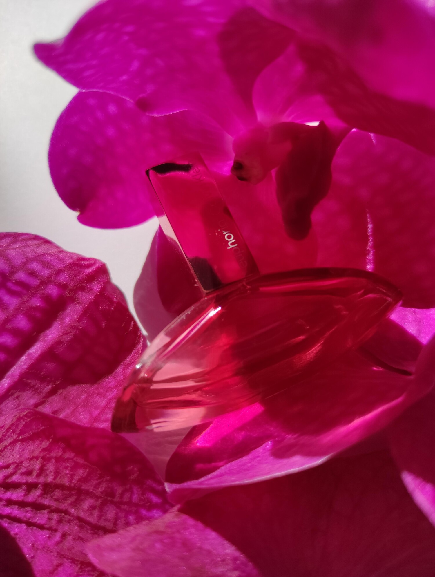 Euphoria Magnetic Elixir Calvin Klein perfume - a new fragrance for ...