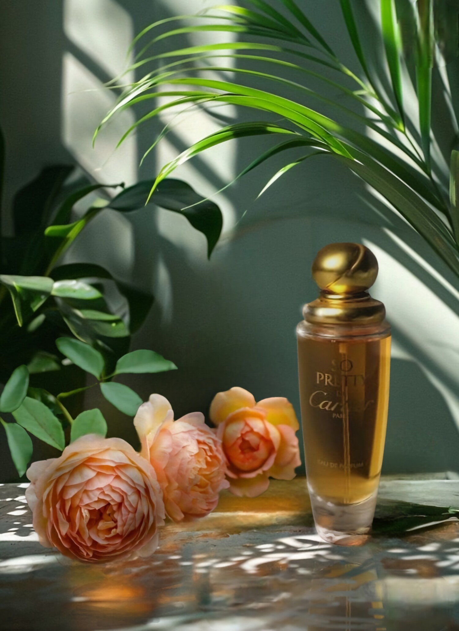 So Pretty Cartier аромат — аромат для женщин 1995