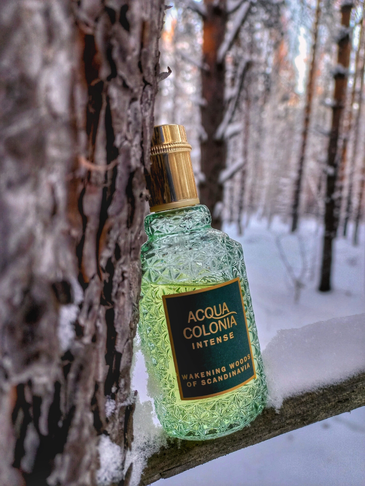 4711 Acqua Colonia Intense Wakening Woods Of Scandinavia 4711 perfume ...
