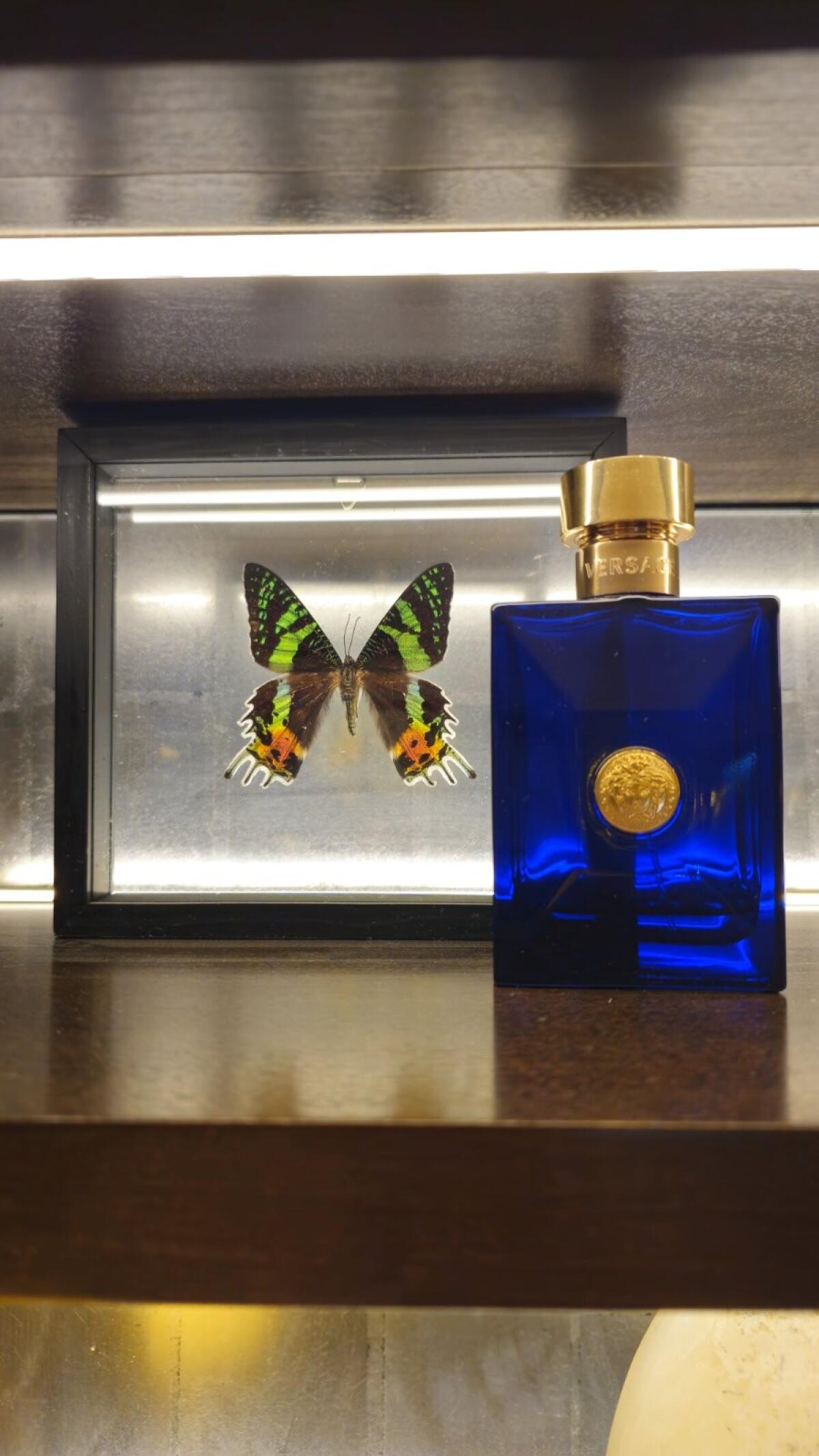 Versace Pour Homme Dylan Blue Versace одеколон — аромат для мужчин 2016