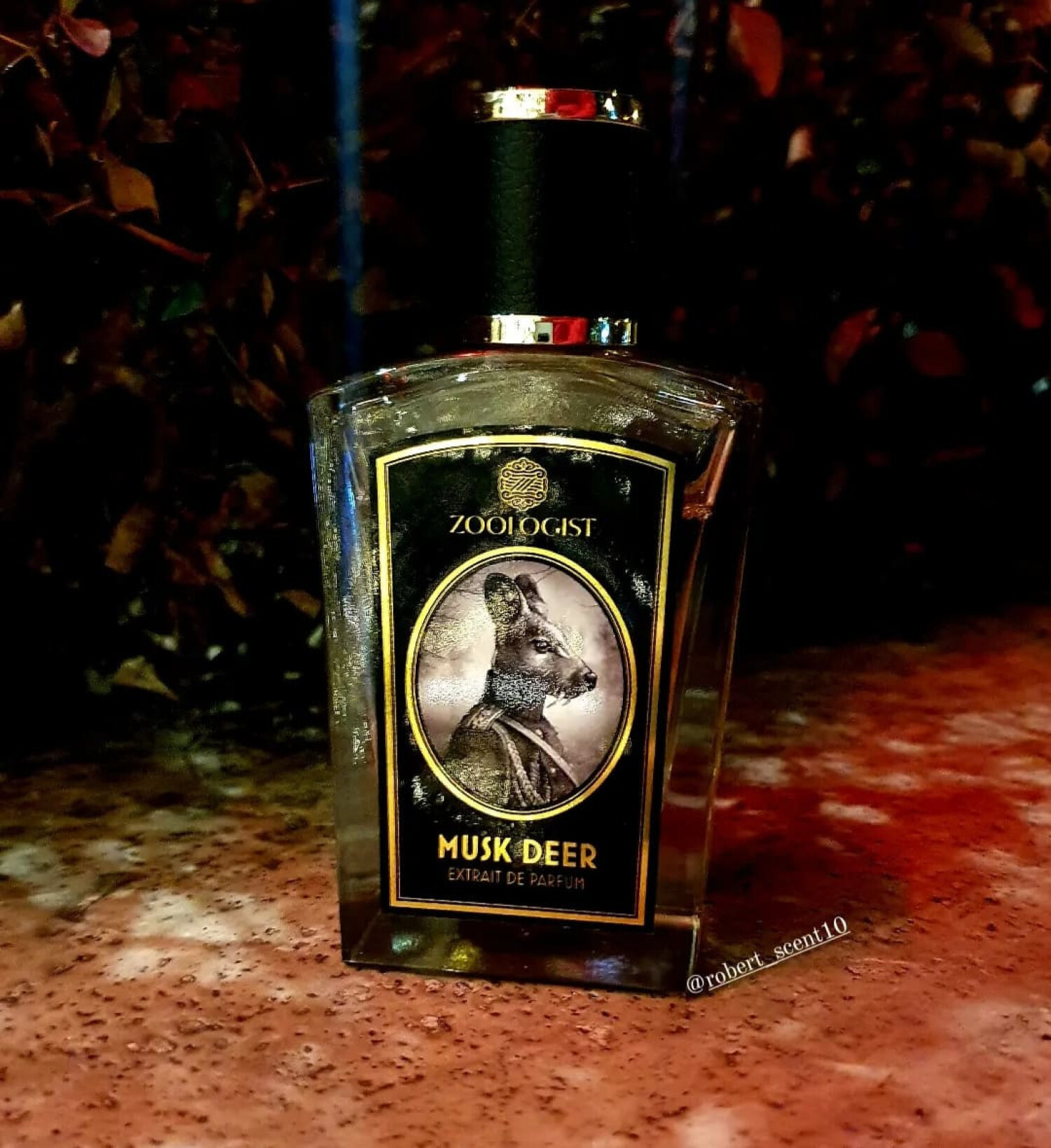 Musk Deer Zoologist Perfumes perfume - a fragrance for women and men 2020