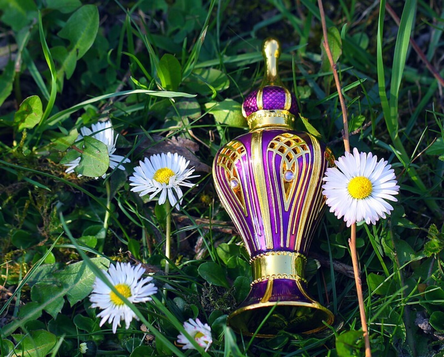 Narjis Al Haramain Perfumes fragancia - una fragancia para Mujeres 2021