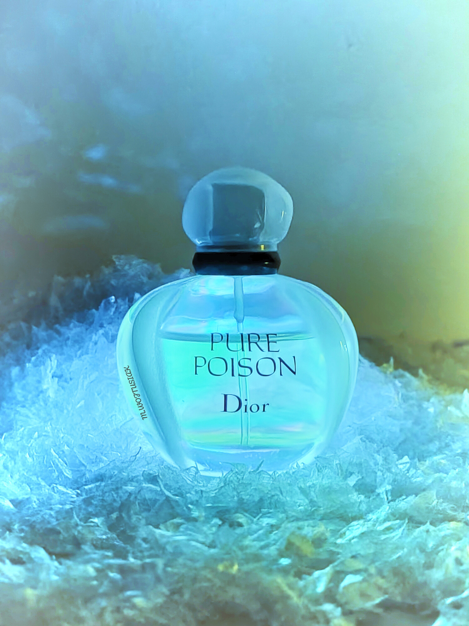 Pure Poison Dior perfume - a fragrance for women 2004