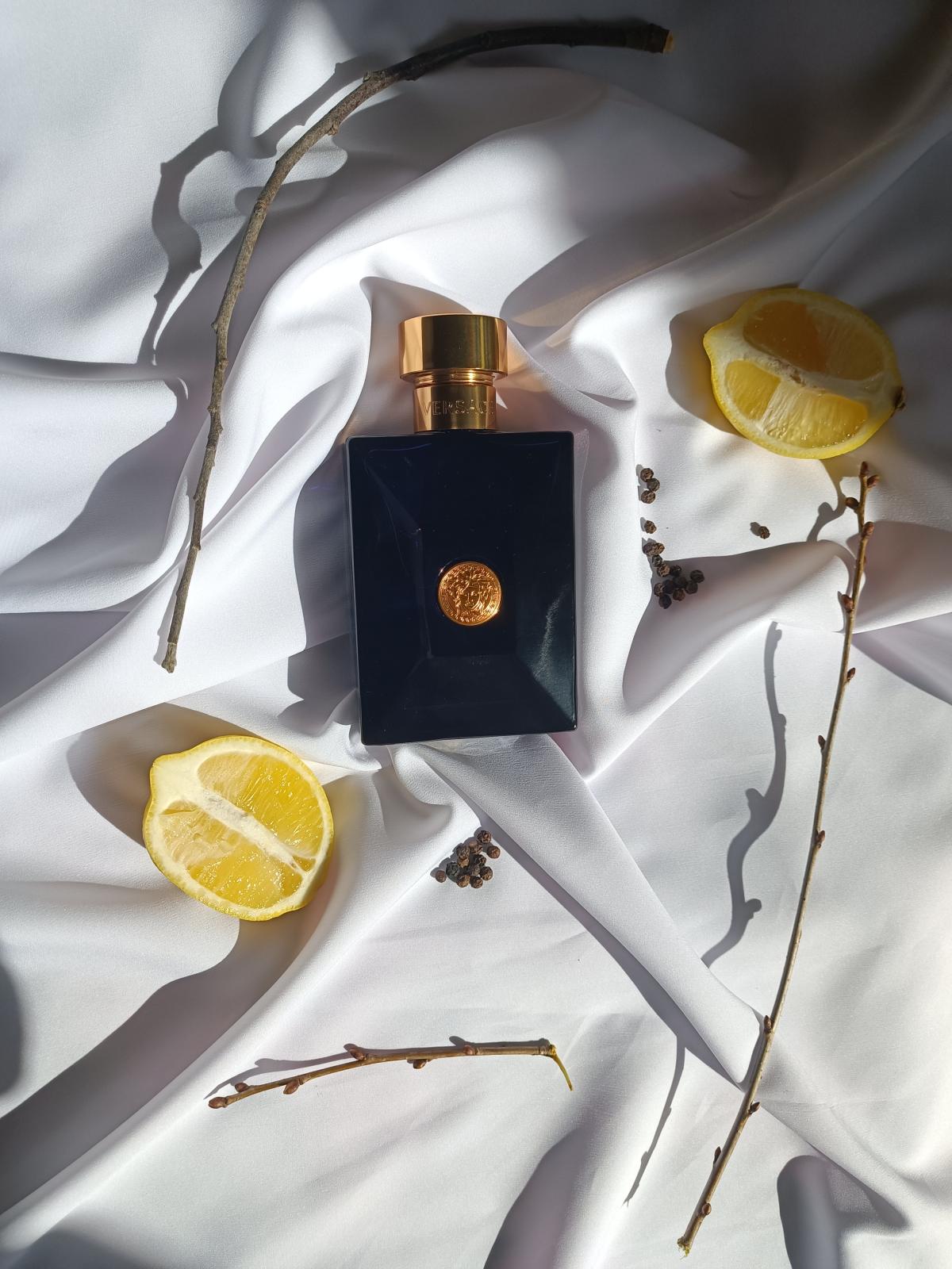 Versace Pour Homme Dylan Blue Versace cologne - a fragrance for men 2016