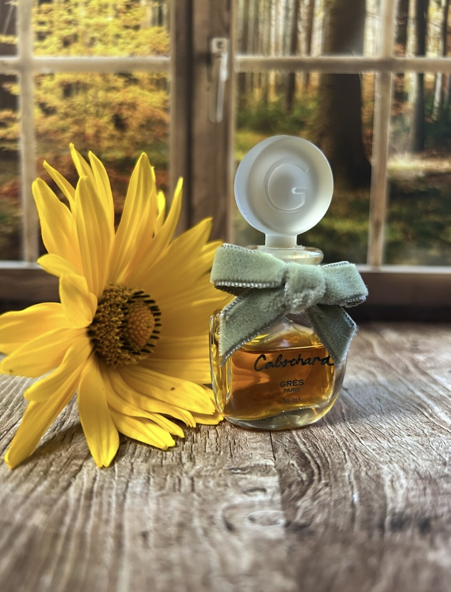 Cabochard Parfum Grès perfume - a fragrância Compartilhável 1959
