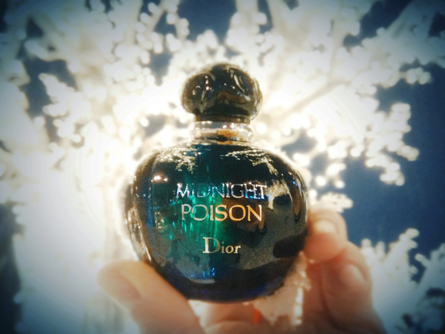 Midnight Poison Dior perfume - a fragrance for women 2007