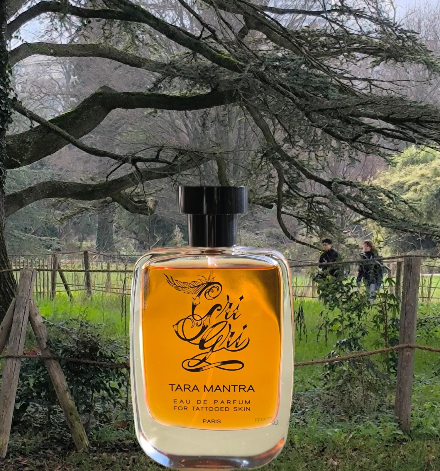 Tara Mantra Gri Gri Parfums cologne - a fragrance for men 2016